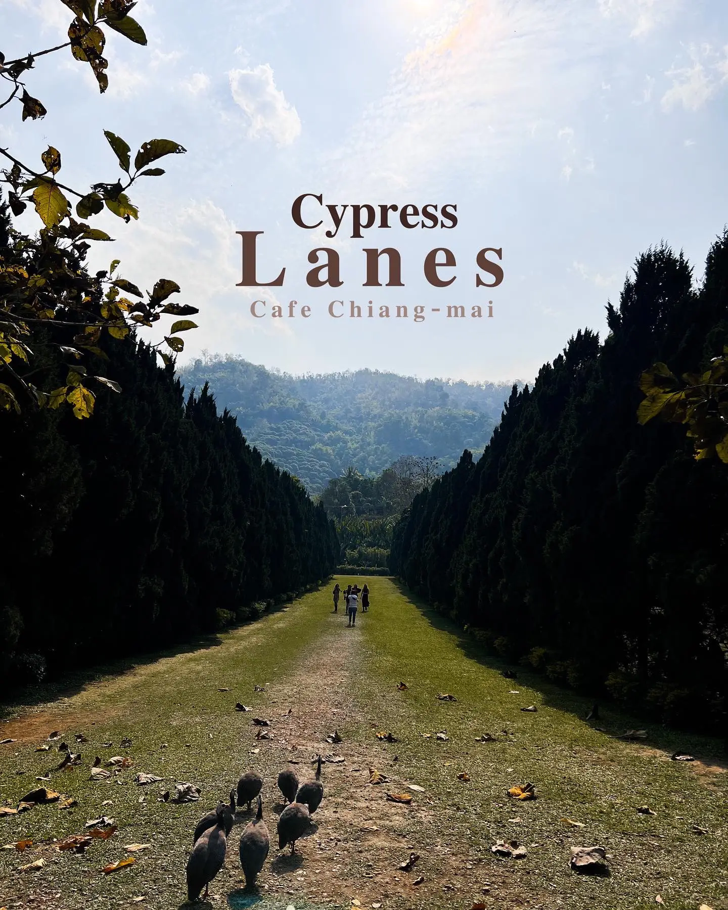 Check-in📍 “Cypress Lanes” คาเฟ่เชียงใหม่ | แกลเลอรีที่โพสต์โดย Check-in Chill | Lemon8