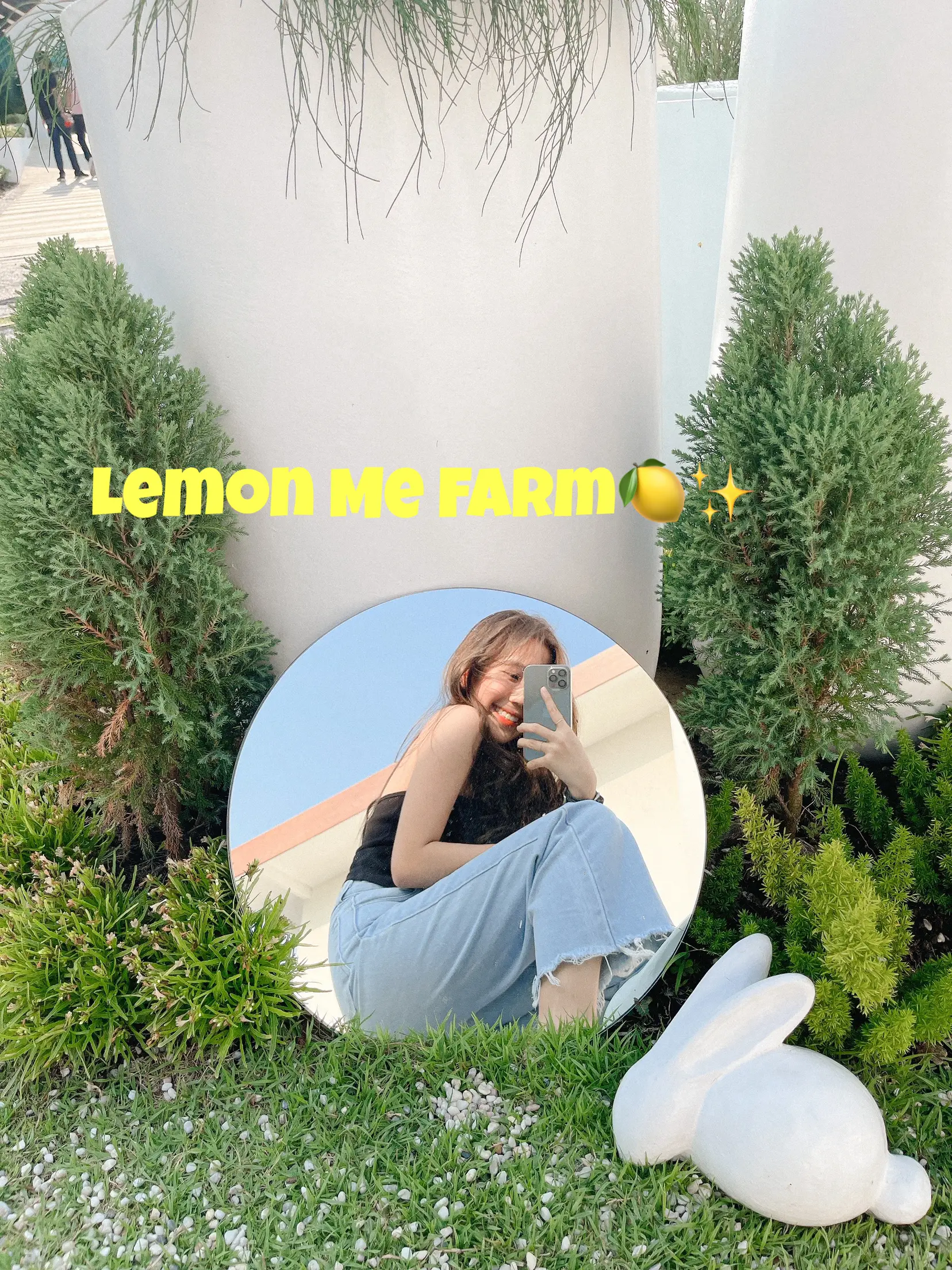 คาเฟ่นครปฐมที่ต้องมาซ้ำ!🫶🏻 | แกลเลอรีที่โพสต์โดย myymines | Lemon8