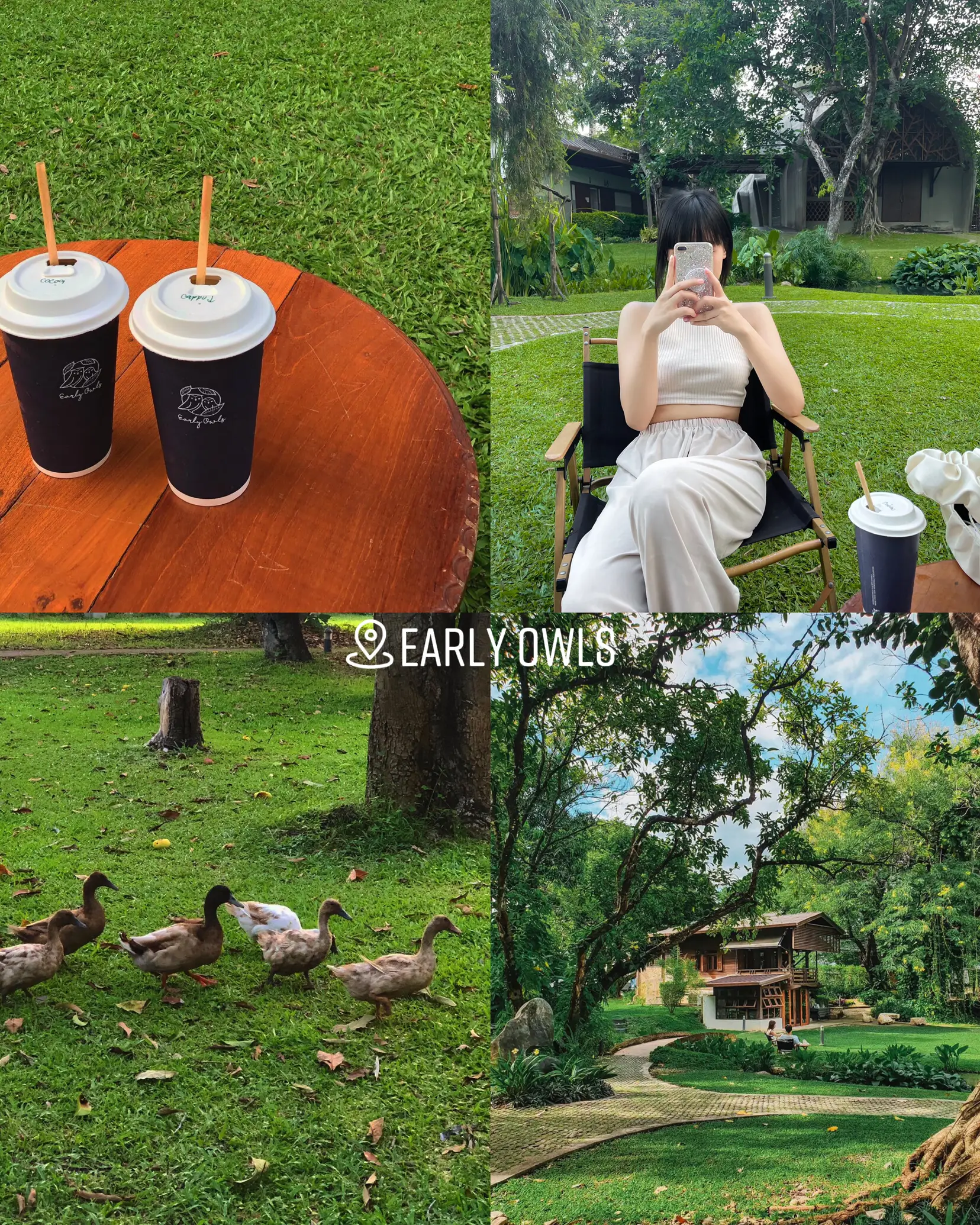 แจกพิกัดเที่ยวเชียงใหม่ ฉบับคนรักธรรมชาติ | วิดีโอที่เผยแพร่โดย Anusara | Lemon8