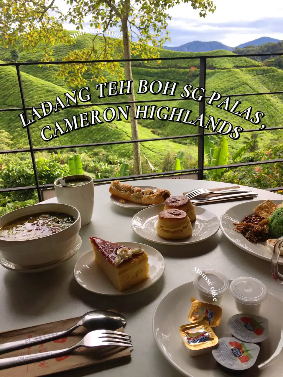 LADANG TEH BOH SG PALAS,CAMERON HIGHLANDS | Galeri disiarkan oleh Sue ...