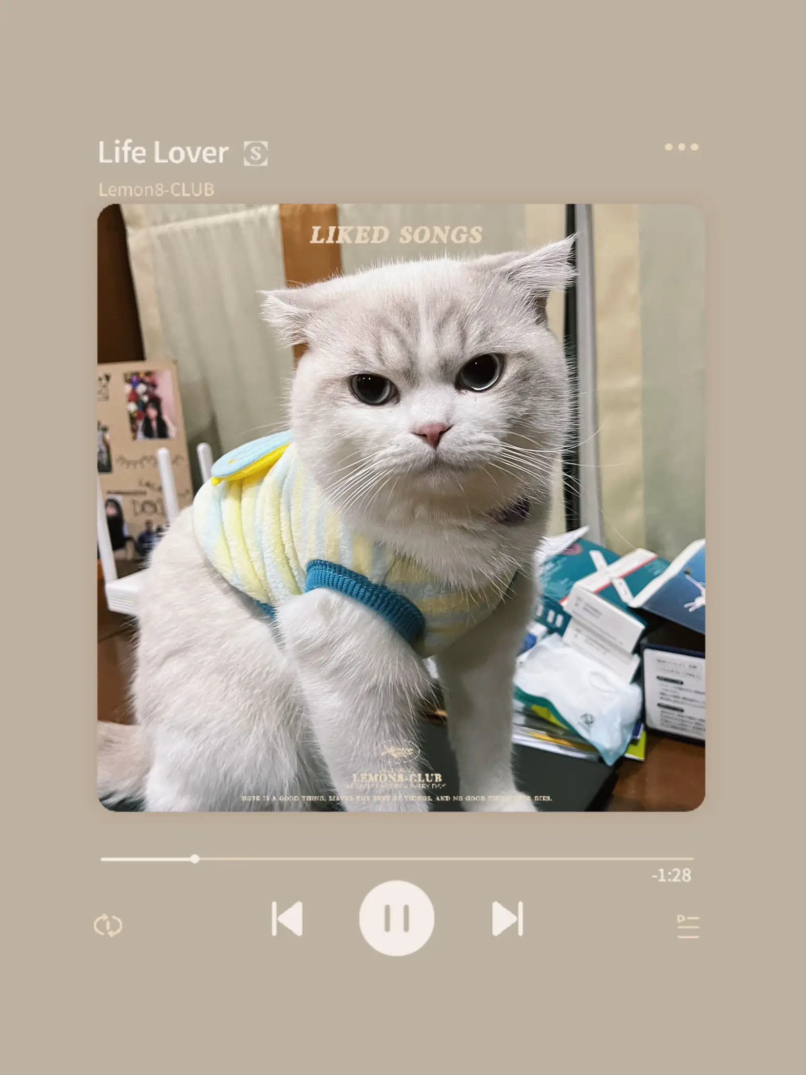 เเนะนำอาหารแมว💗👏🏻 | แกลเลอรีที่โพสต์โดย Pao | Lemon8