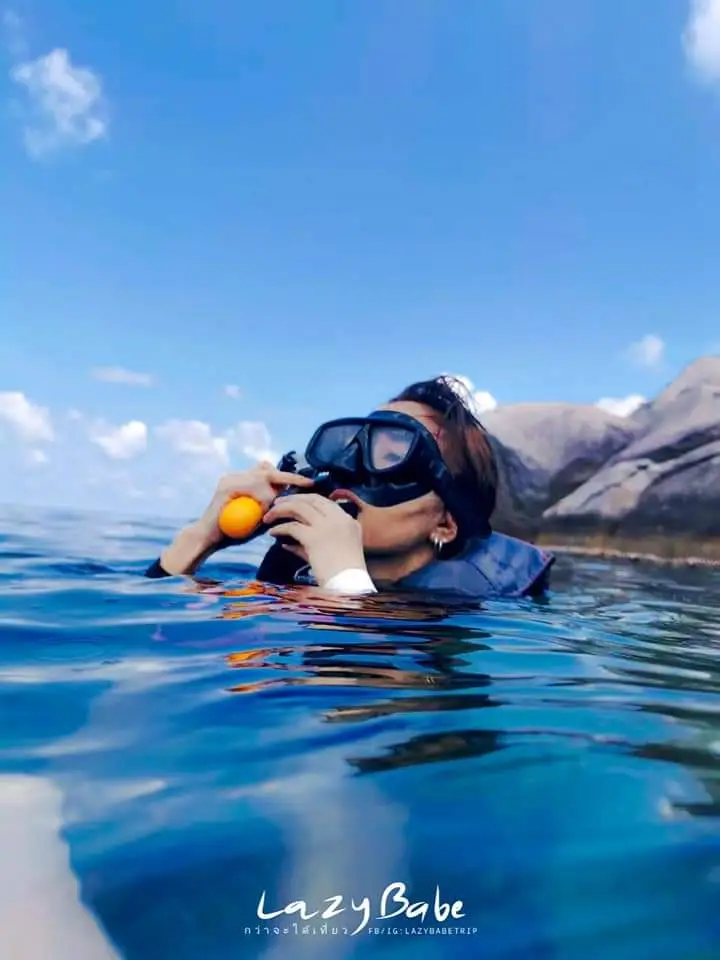 ดำน้ำ 5 จุดไฮไลท์ บนเกาะเต่า 🦈 เจอฉลามด้วยยย | แกลเลอรีที่โพสต์โดย Lazy Babe | Lemon8