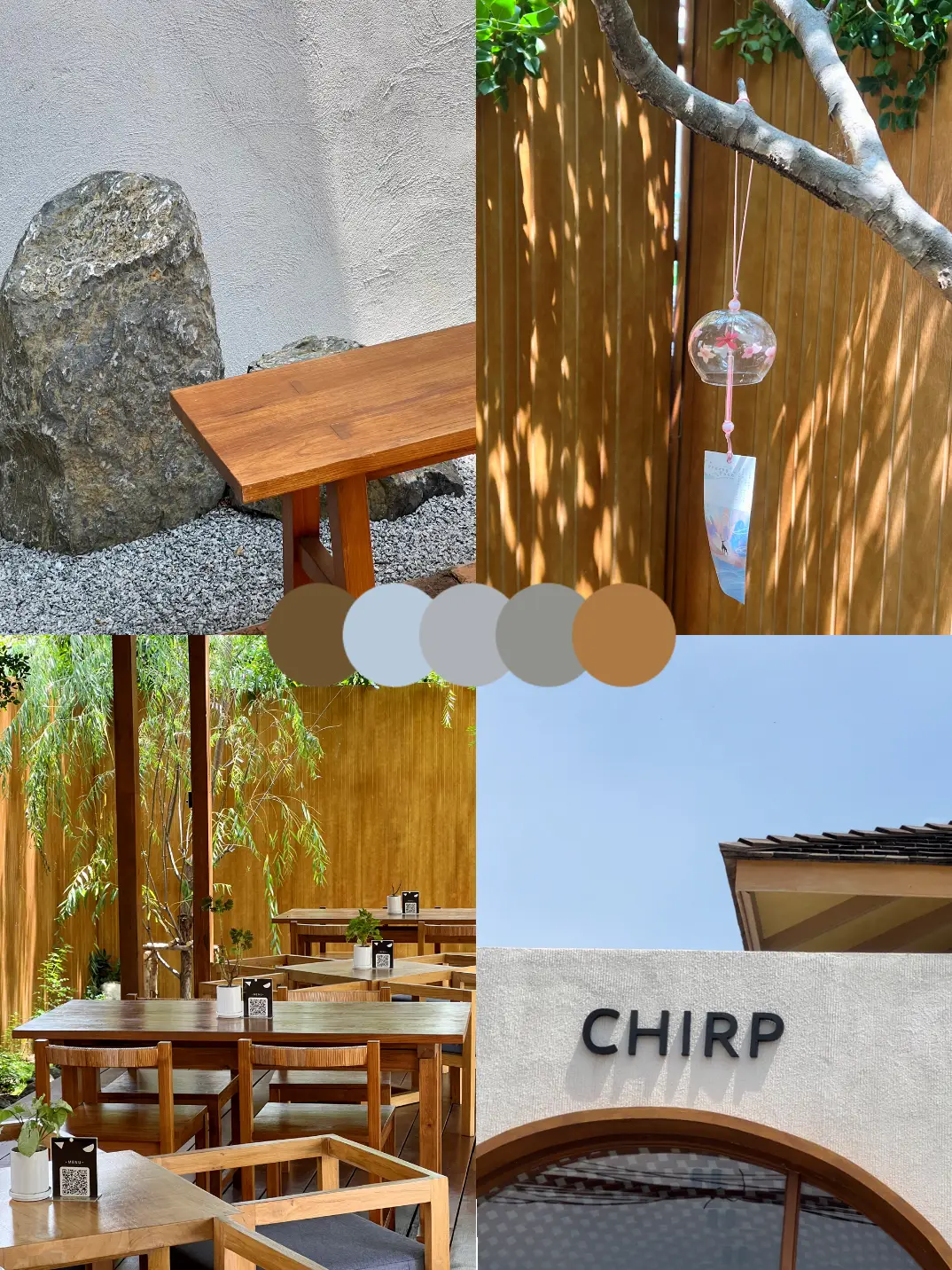 Chirp การค้นหาใน Lemon8