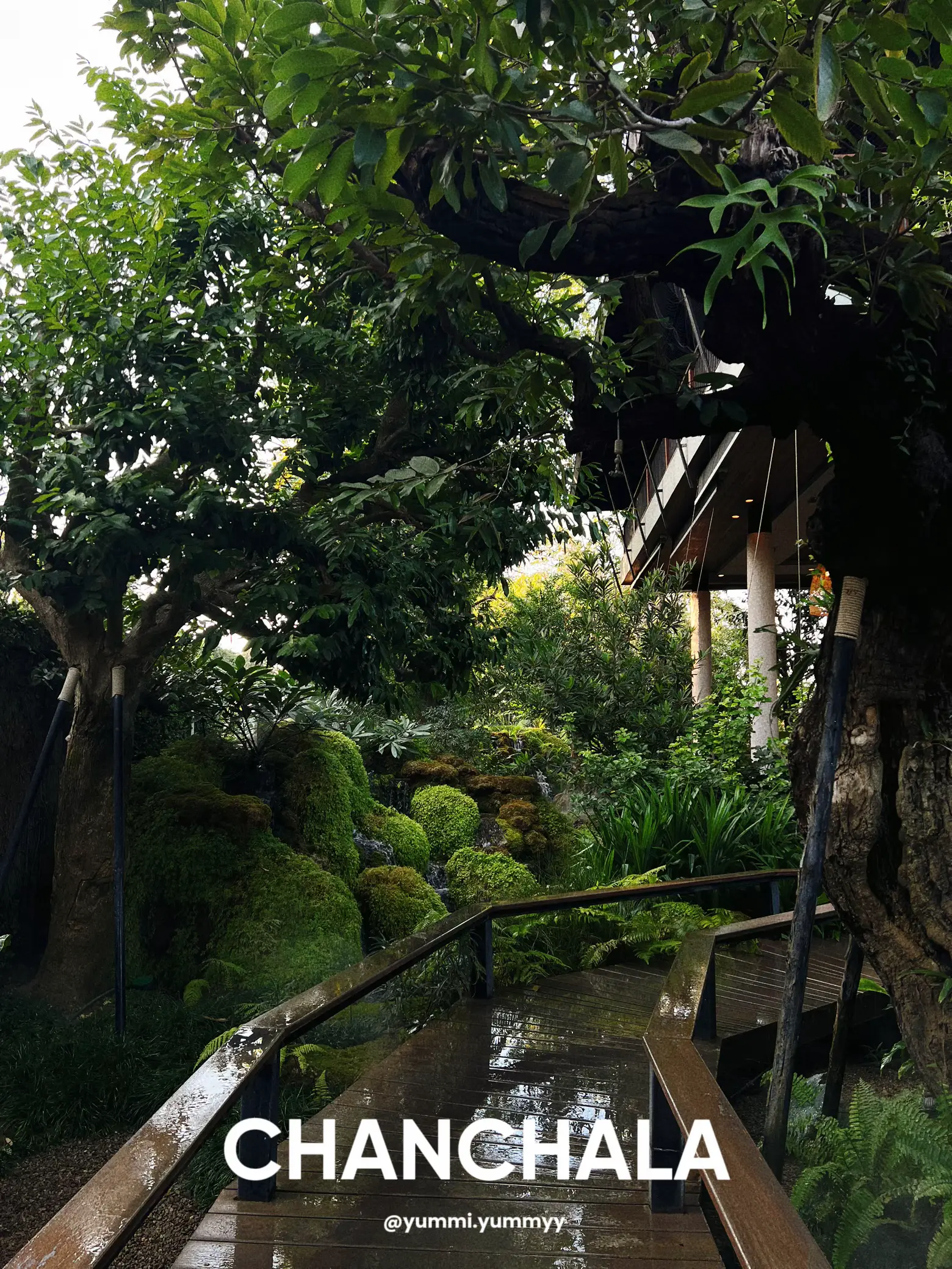 CHANCHALA | ร้านอาหารกาญจนบุรี สุดธรรมชาติ วิวดี | แกลเลอรีที่โพสต์โดย ...