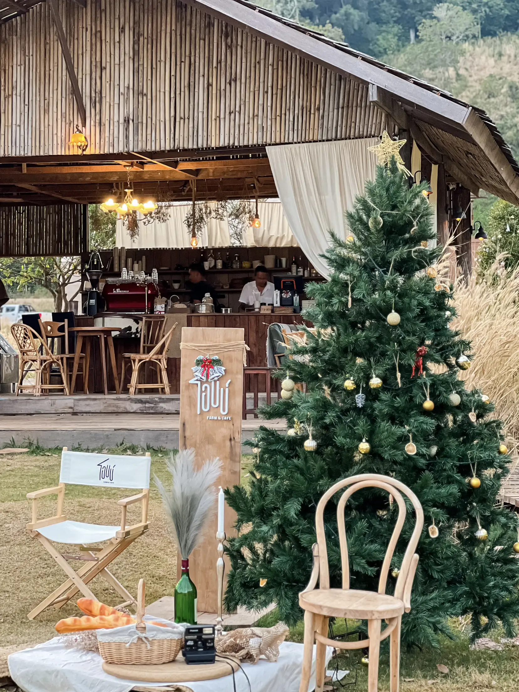 🍃 โอบบ์ Farm & Cafe แกลง ระยอง 🍃 #คาเฟ่ระยอง | แกลเลอรีที่โพสต์โดย ...