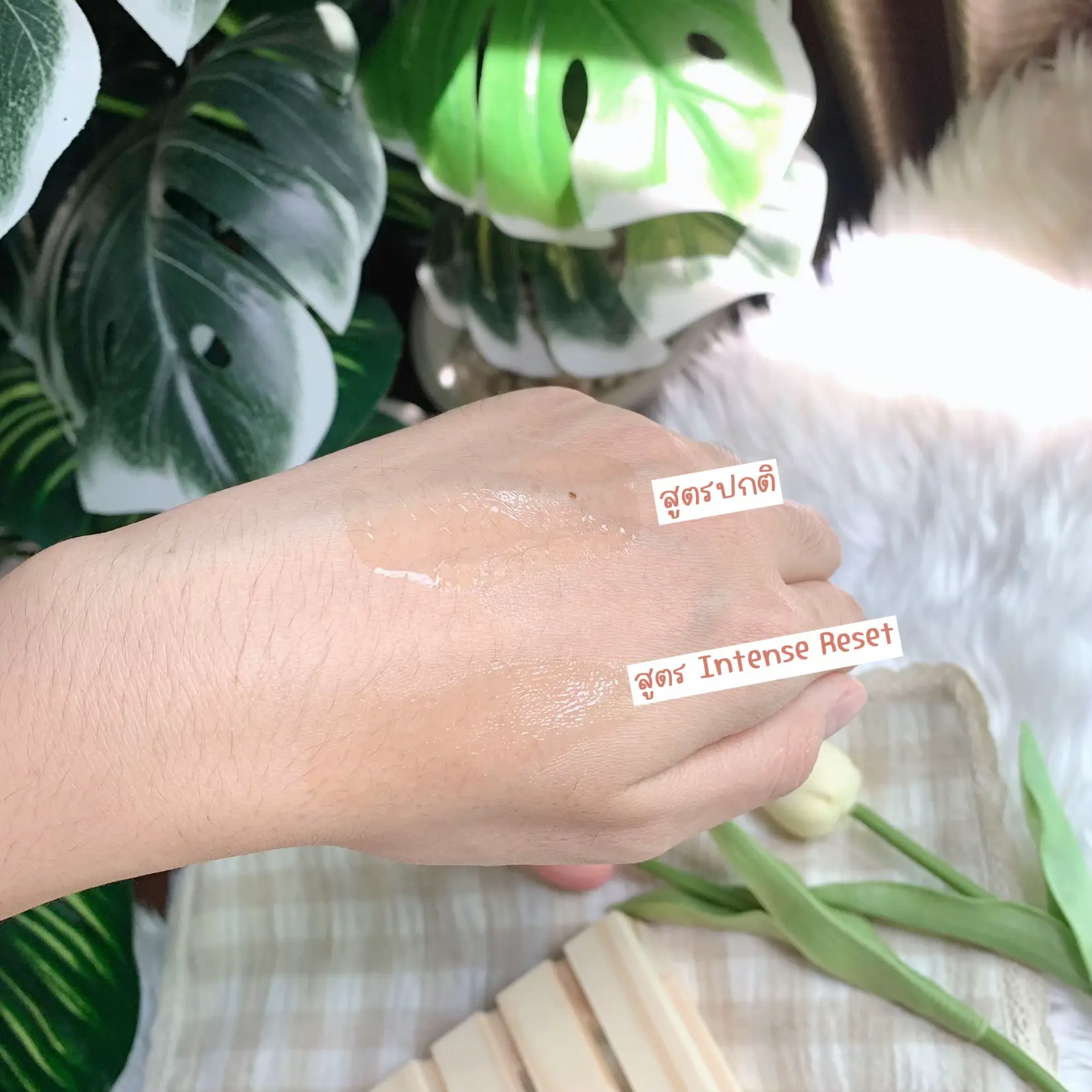 ☆Estee lauder ANR 2 สูตรนี้ต่างกันยังไง? ใช้ตอนไหน? | แกลเลอรีที่โพสต์ ...