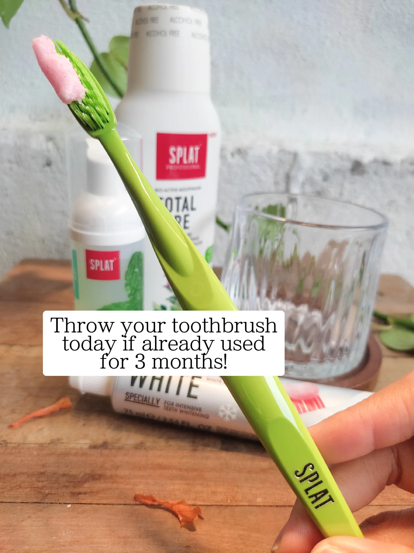 10 Household Items To Throw Away Today | Galeri disiarkan oleh Jellyna Jal🧸 | Lemon8