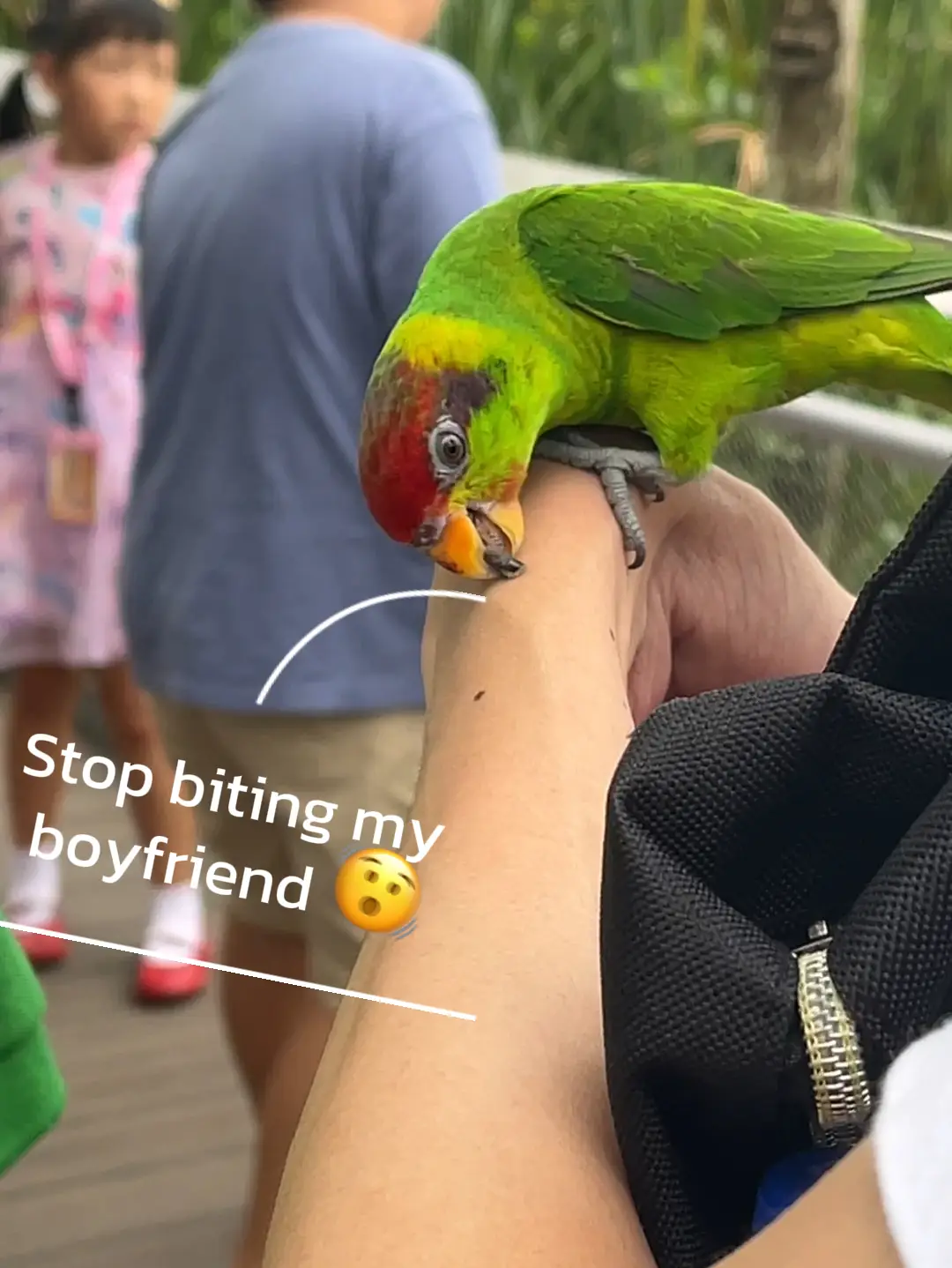 My rival in love is a bird??? | Video published by Hannah Han | Lemon8