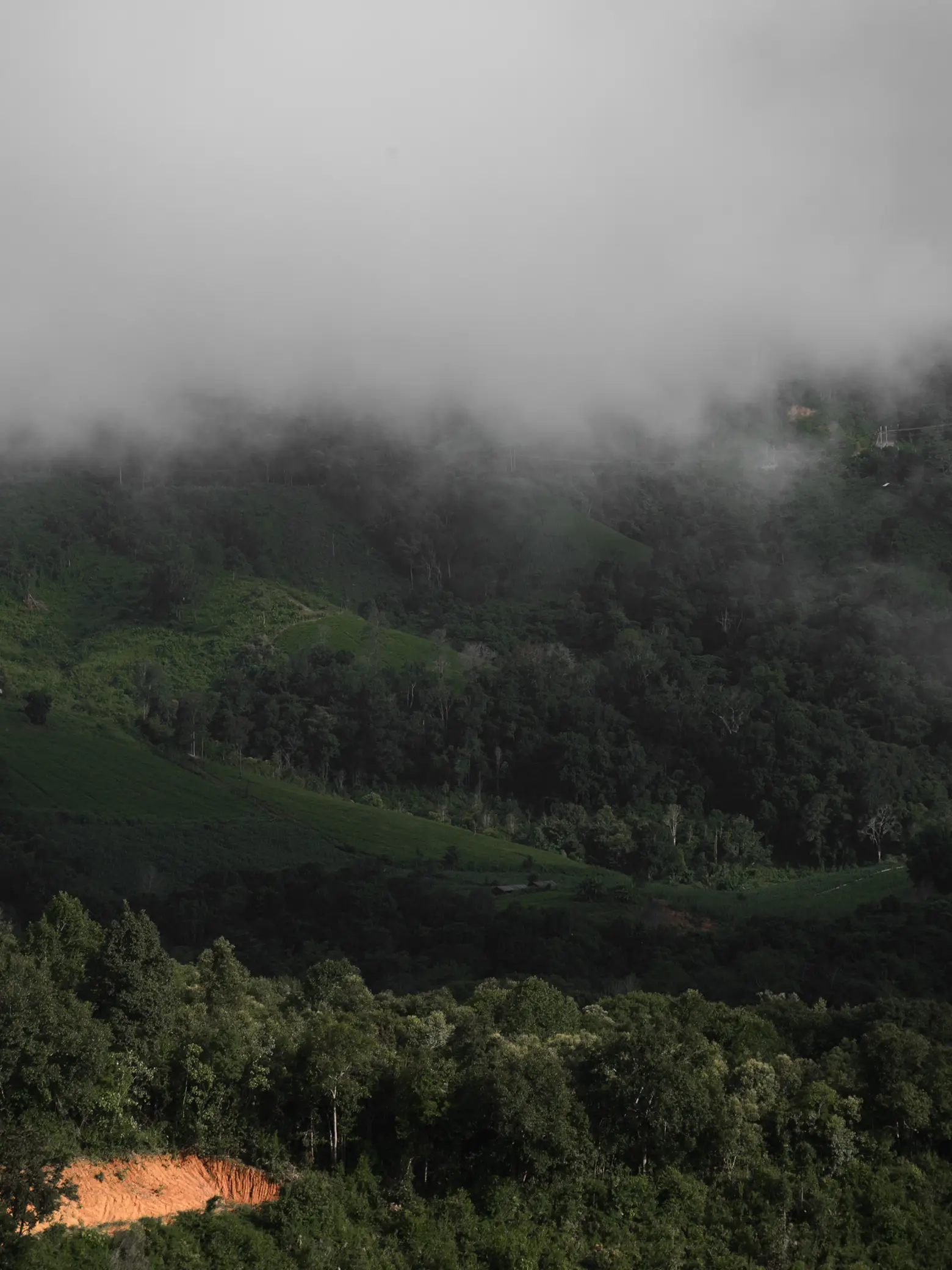 Doolaylay - Galyani vadhana 🍀 | แกลเลอรีที่โพสต์โดย Nan.chinalai | Lemon8