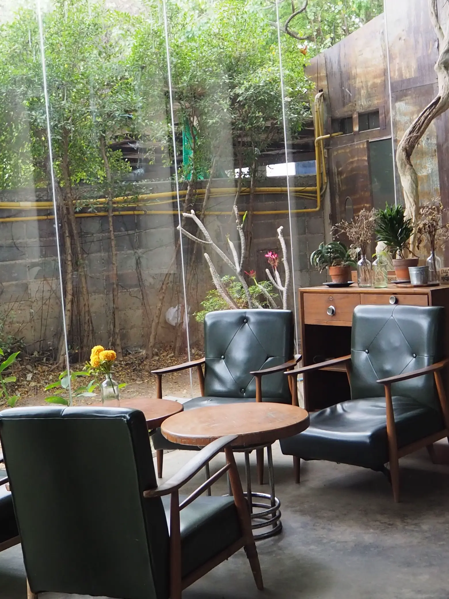 -Namon Nomwan -หน้ามนหนมหวาน บางแสน- | แกลเลอรีที่โพสต์โดย มีทูน่า🐠 ...