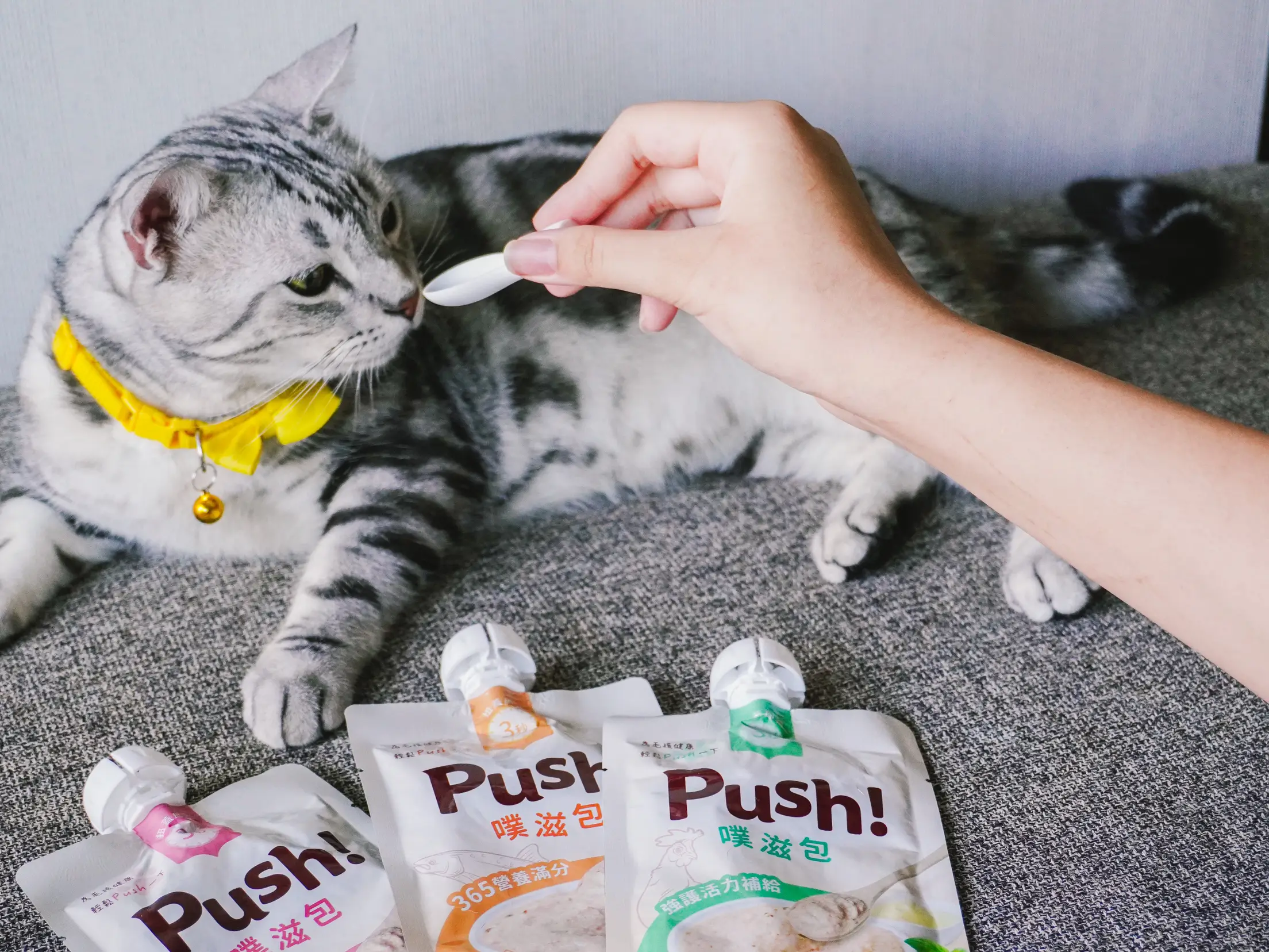 อาหารเปียกแมวจากไต้หวัน! Push!🧡🙌🇹🇼 | แกลเลอรีที่โพสต์โดย mmoowann | Lemon8