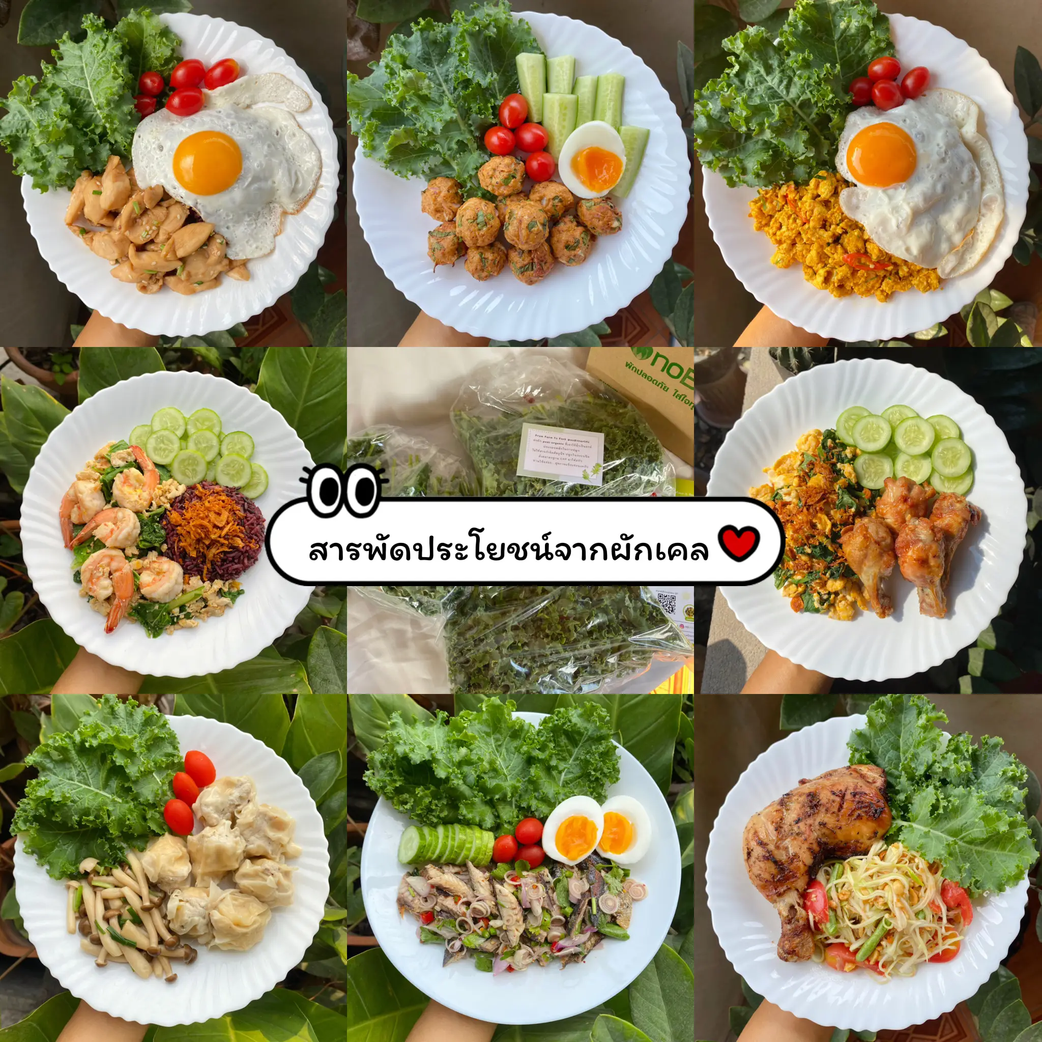 สารพัดประโยชน์จากผักเคล | แกลเลอรีที่โพสต์โดย bass_healthy | Lemon8