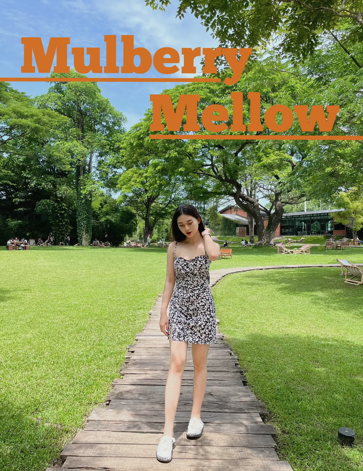 Mulberry Mellow🫐 | Gallery posted by NAPHA🌤️ | Lemon8