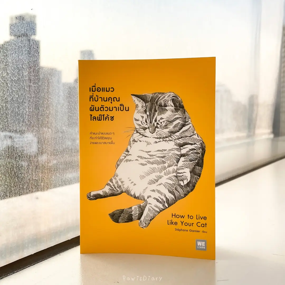 Book Review: When a Cat at Home You Turns Into a Life Coach | Gallery ...