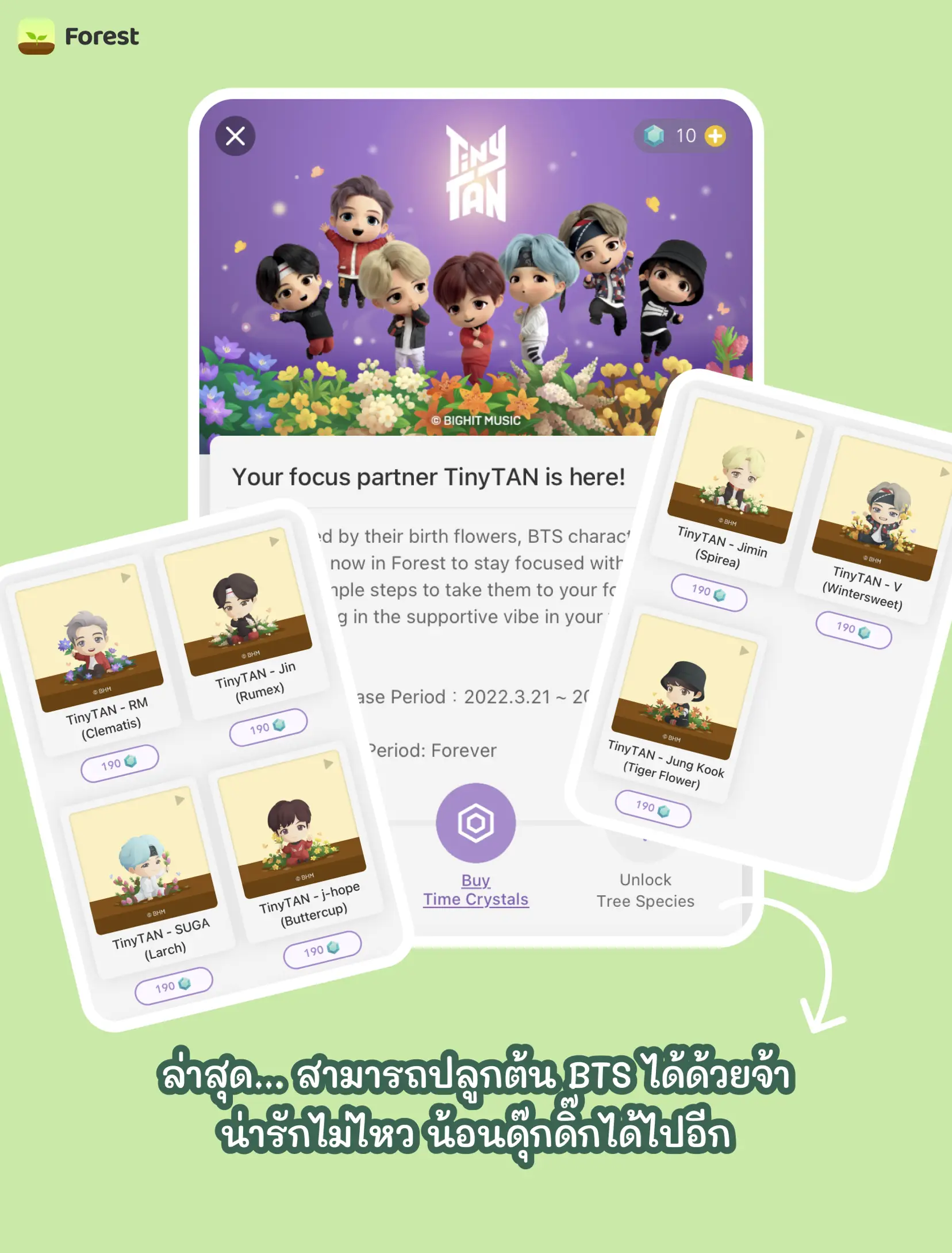 Forest App ปลูกต้นไม้บนแอพ โฟกัสการทำงานกัน! 🌱🪴🌸 | แกลเลอรีที่โพสต์โดย ...