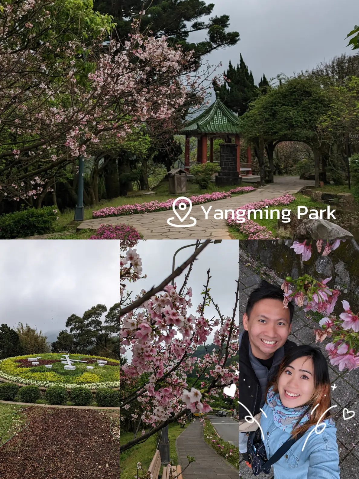 An honest review of Yangmingshan | แกลเลอรีที่โพสต์โดย Jing Wei | Lemon8