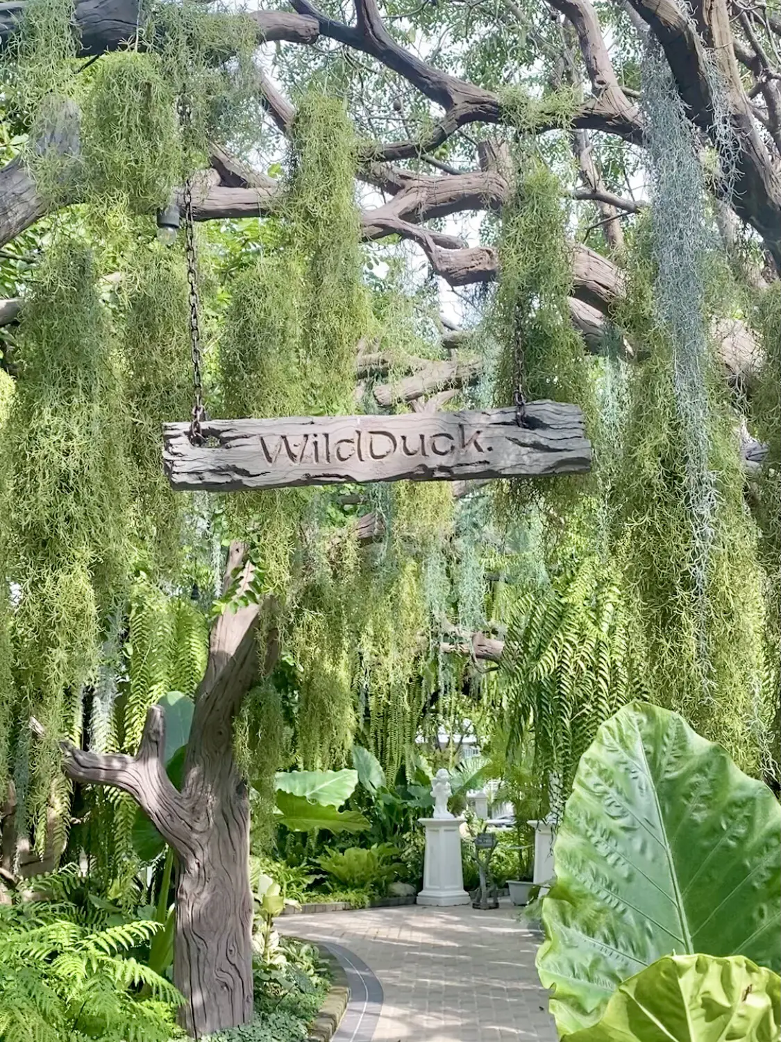 Wild Duck Cafe คาเฟ่เป็ด ย่านมีนบุรี | แกลเลอรีที่โพสต์โดย riangploy ...