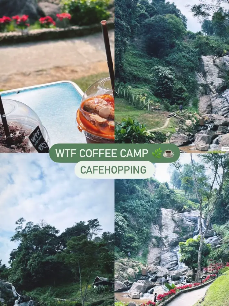 WTF Coffee Camp | Cafe Hopping ☕️🥃🌳 | แกลเลอรีที่โพสต์โดย Jjiraa | Lemon8