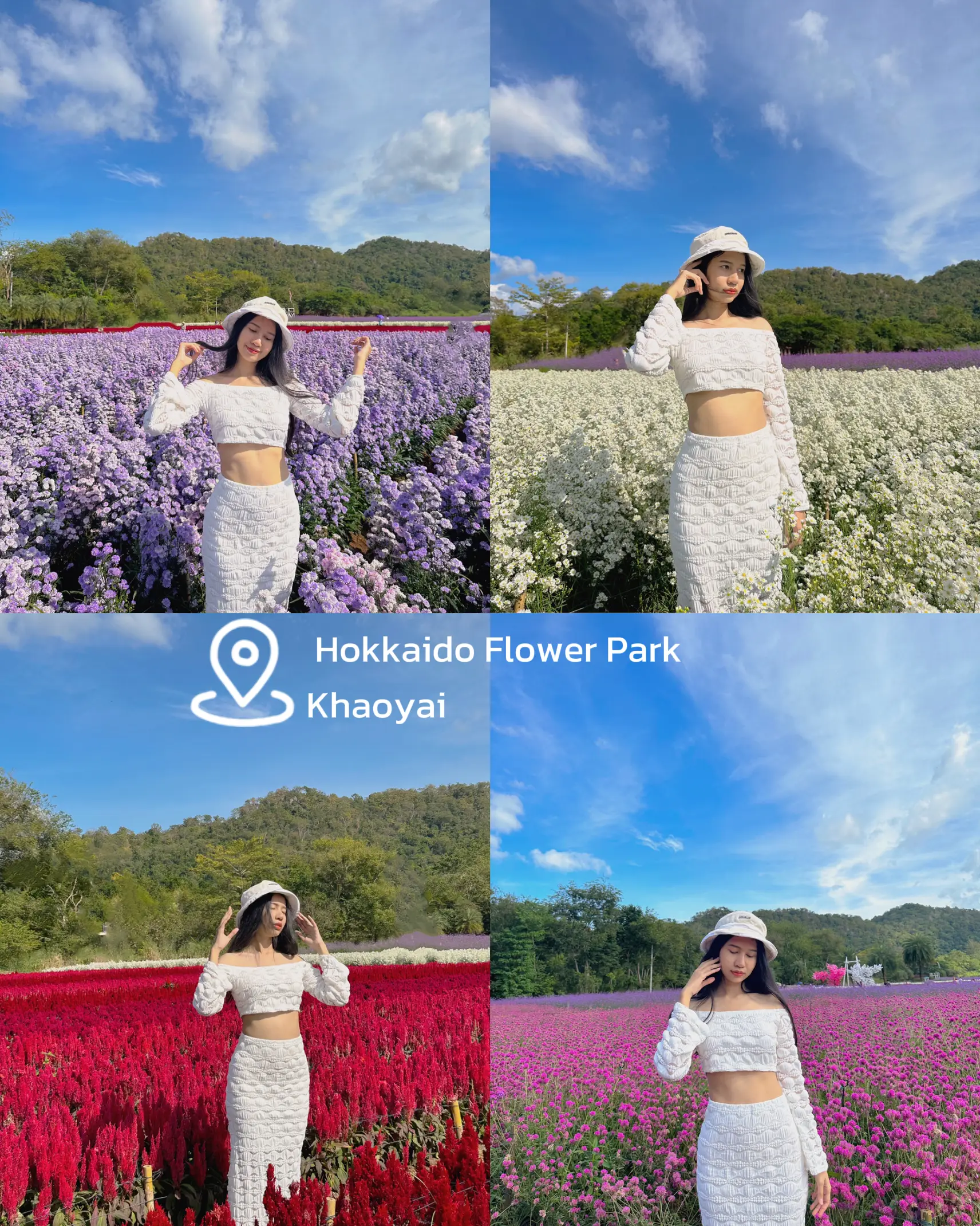 แจกพิกัดสวนดอกไม้ ไม่ต้องไม่ไกลถึงญี่ปุ่น | แกลเลอรีที่โพสต์โดย pimpim | Lemon8