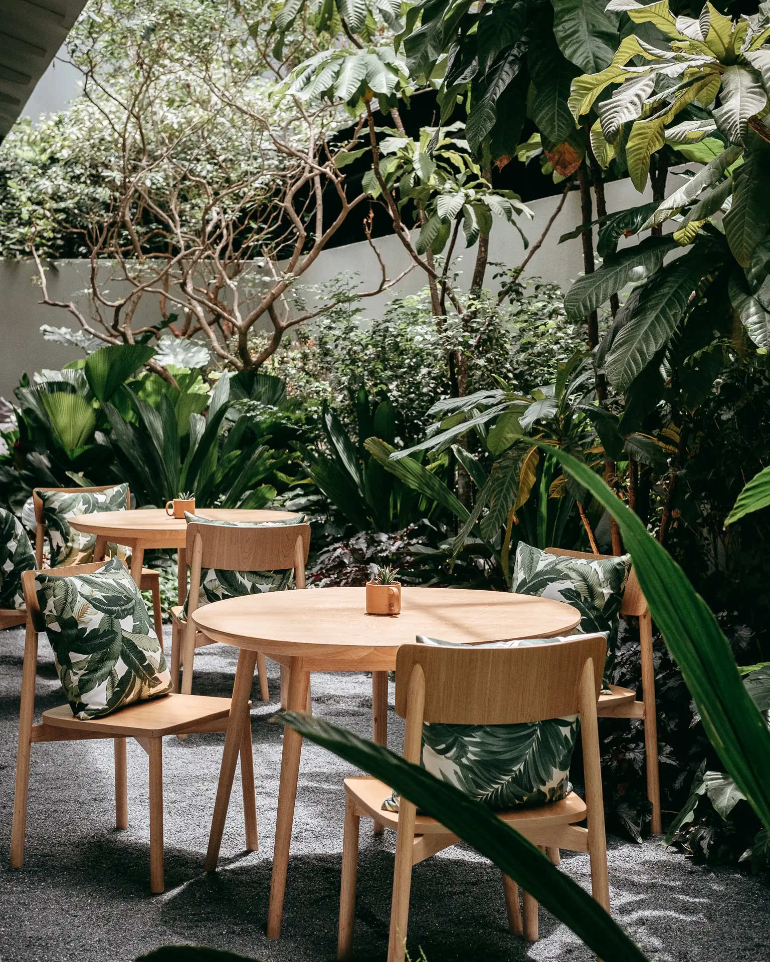 WH Cafe คาเฟ่เปิดใหม่ในบรรยากาศ Glass House ย่าน RCA | Galeri disiarkan oleh Rattomarty | Lemon8