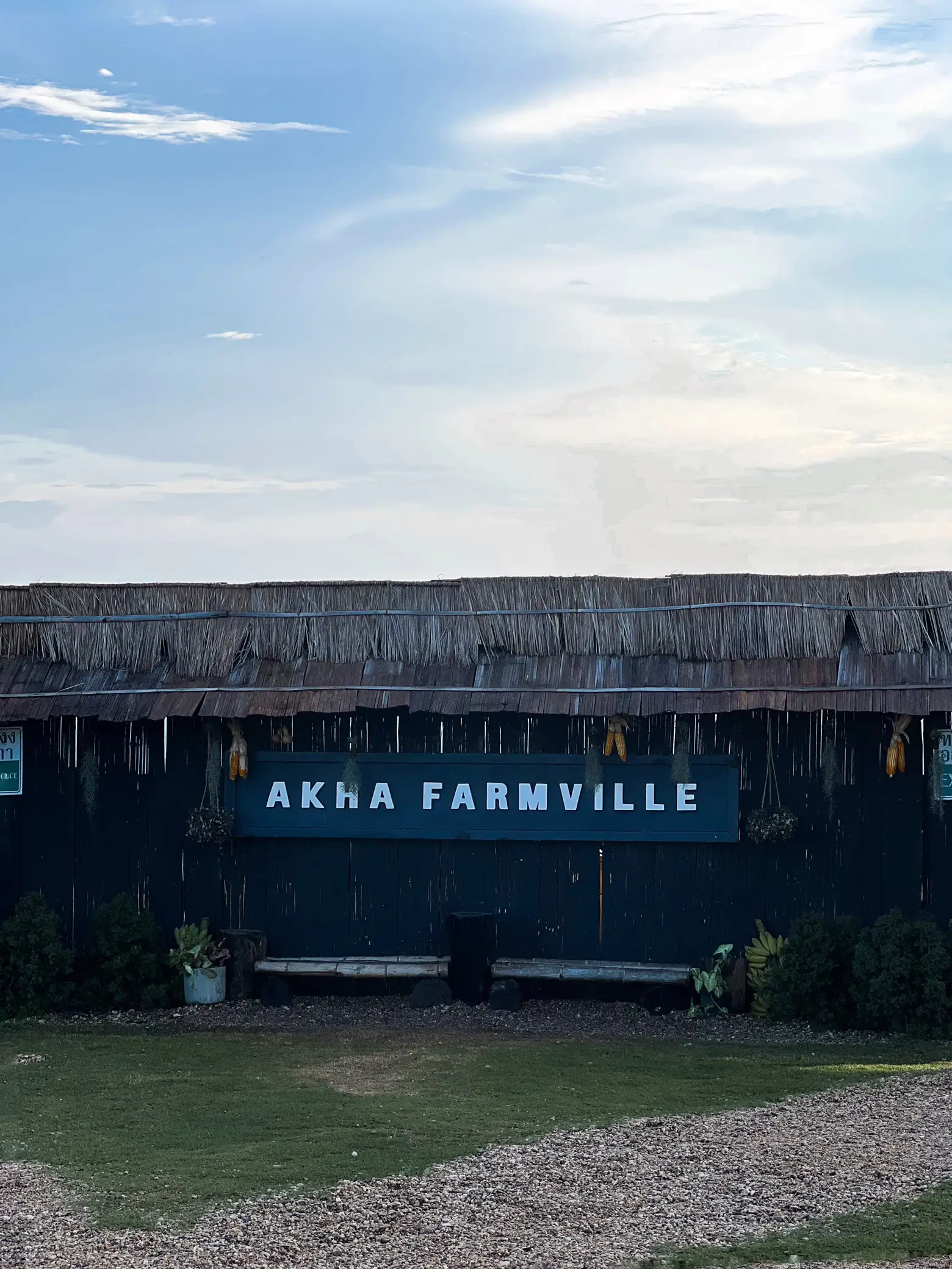 Akha Farmville คาเฟ่เชียงราย ที่มีน้องแกะรายล้อม 🐏🌿☁️ | แกลเลอรีที่ ...