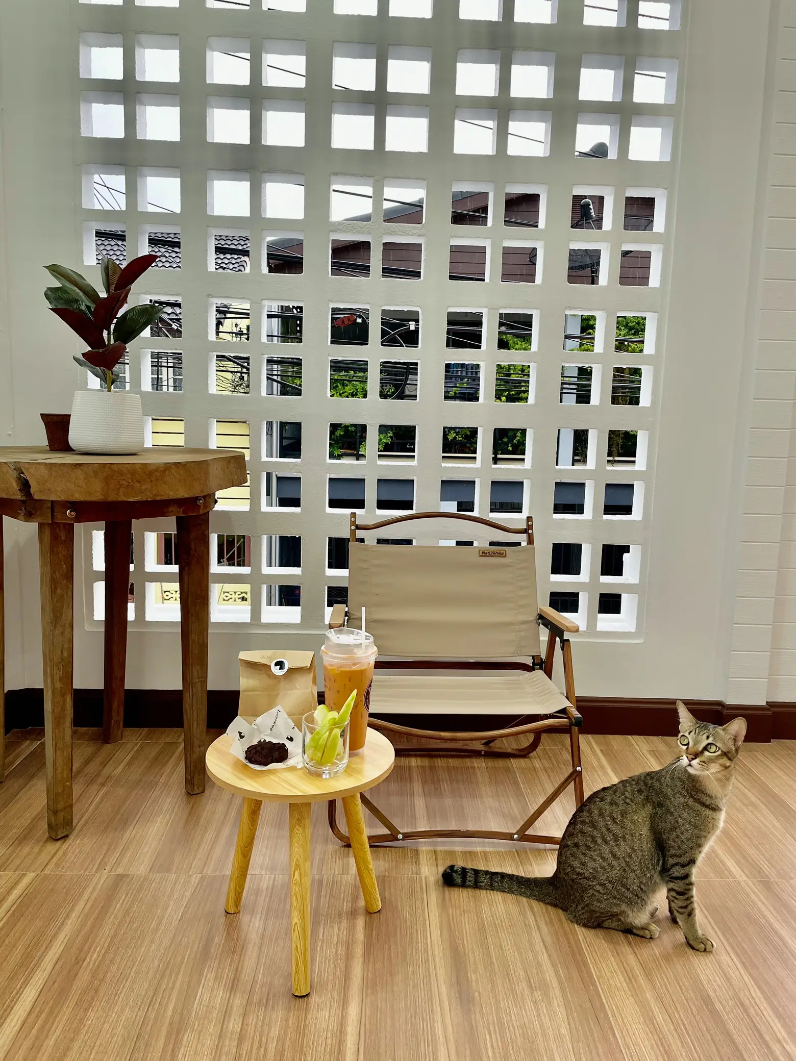 เก้าอี้เล็ก & โต๊ะเล็ก เพิ่มความน่ารักของบ้าน 🤍 | แกลเลอรีที่โพสต์โดย ...