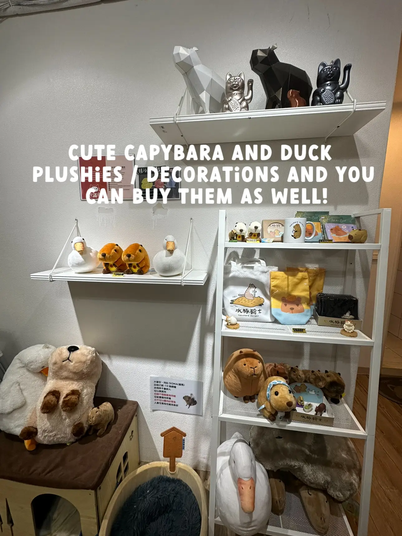 You need to go to this viral CAPYBARA CAFE! 🫶🤩 | Gallery posted by Denise Tan | Lemon8