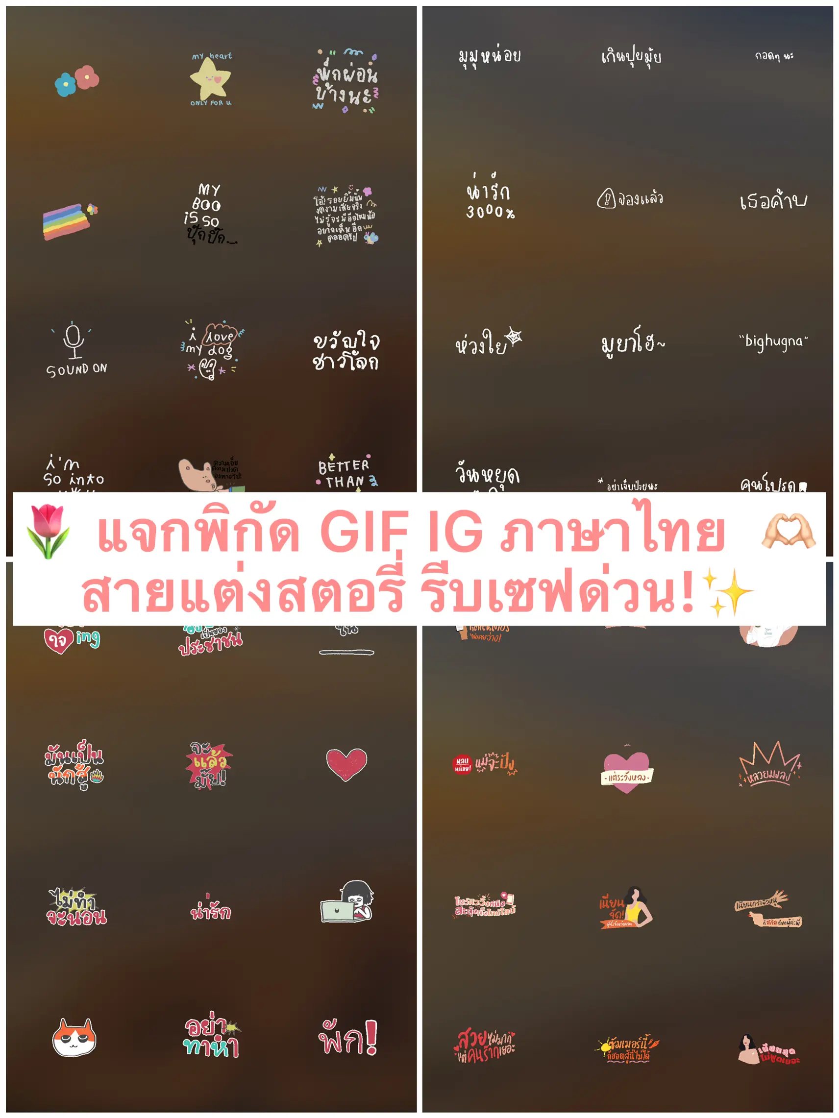 Gif Igภาษาไทย - การค้นหาใน Lemon8