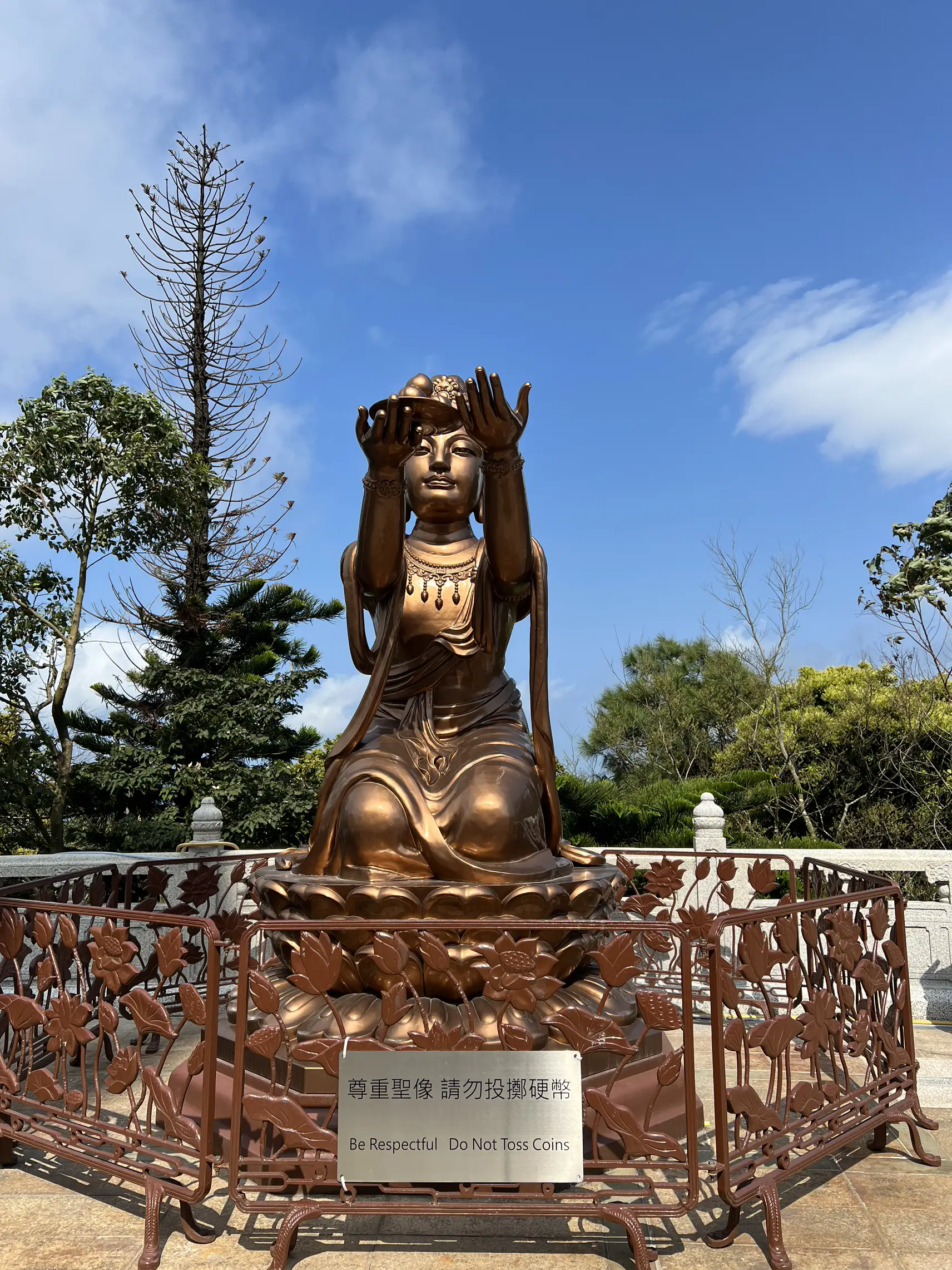 Tian Tan Buddha | แกลเลอรีที่โพสต์โดย AomPanida | Lemon8