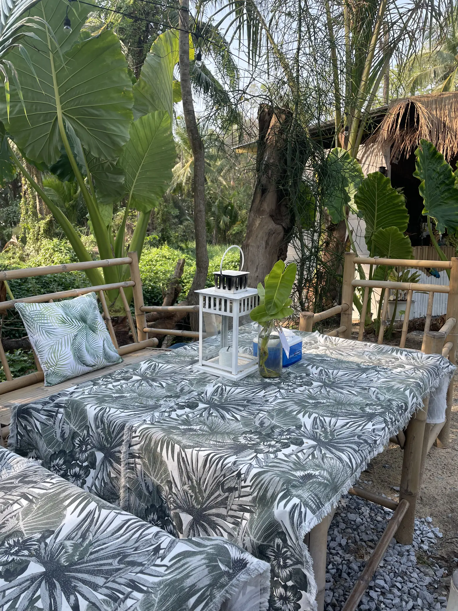 Coco viber - การค้นหาใน Lemon8