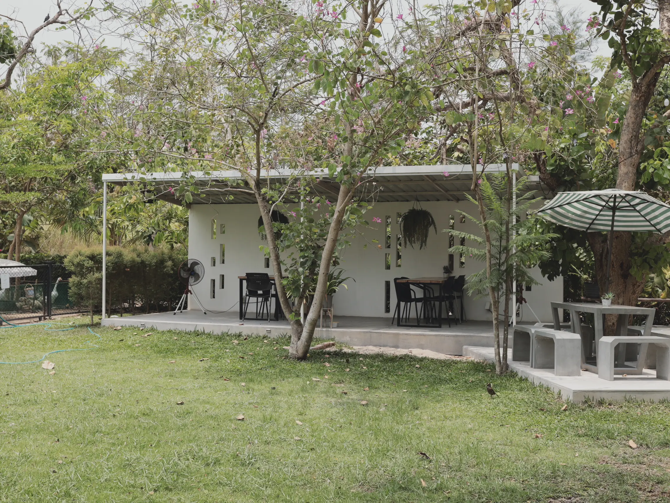 🫘หัวหินเป็นถิ่นมีถั่ว-คาเฟ่สายครอบครัวต้องลองมา🏠💕 | แกลเลอรีที่โพสต์โดย ...