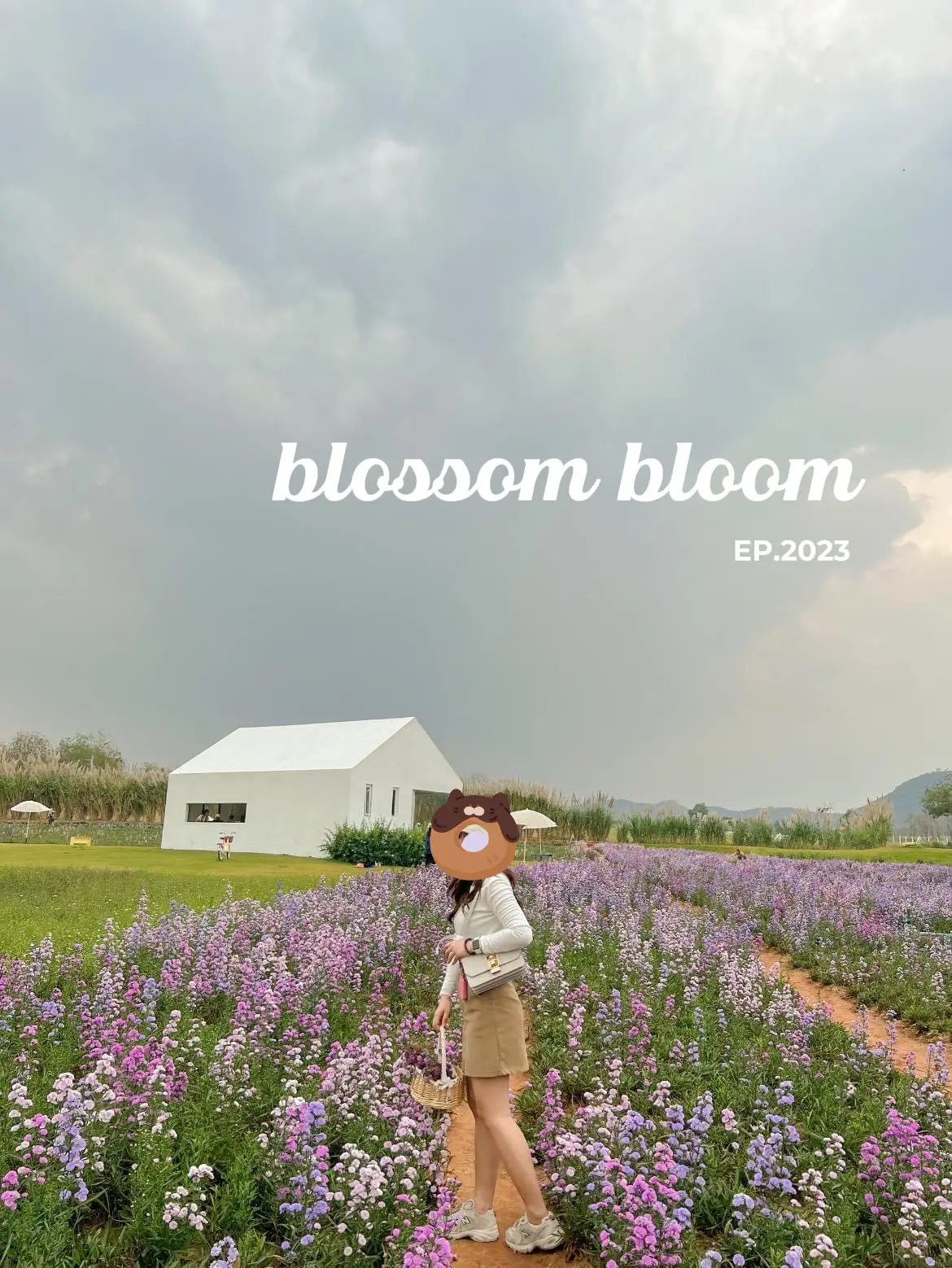 _ blossom bloom- คาเฟ่ดอกไม้เขาใหญ่เปิดใหม่ 🏔️ | แกลเลอรีที่โพสต์โดย R.richsara | Lemon8