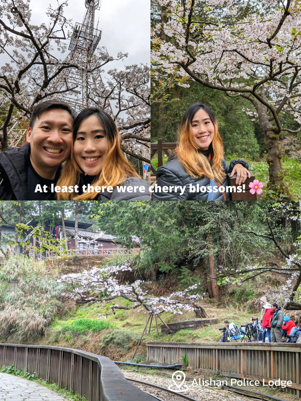 Alishan - a must go or overrated? | แกลเลอรีที่โพสต์โดย Jing Wei | Lemon8