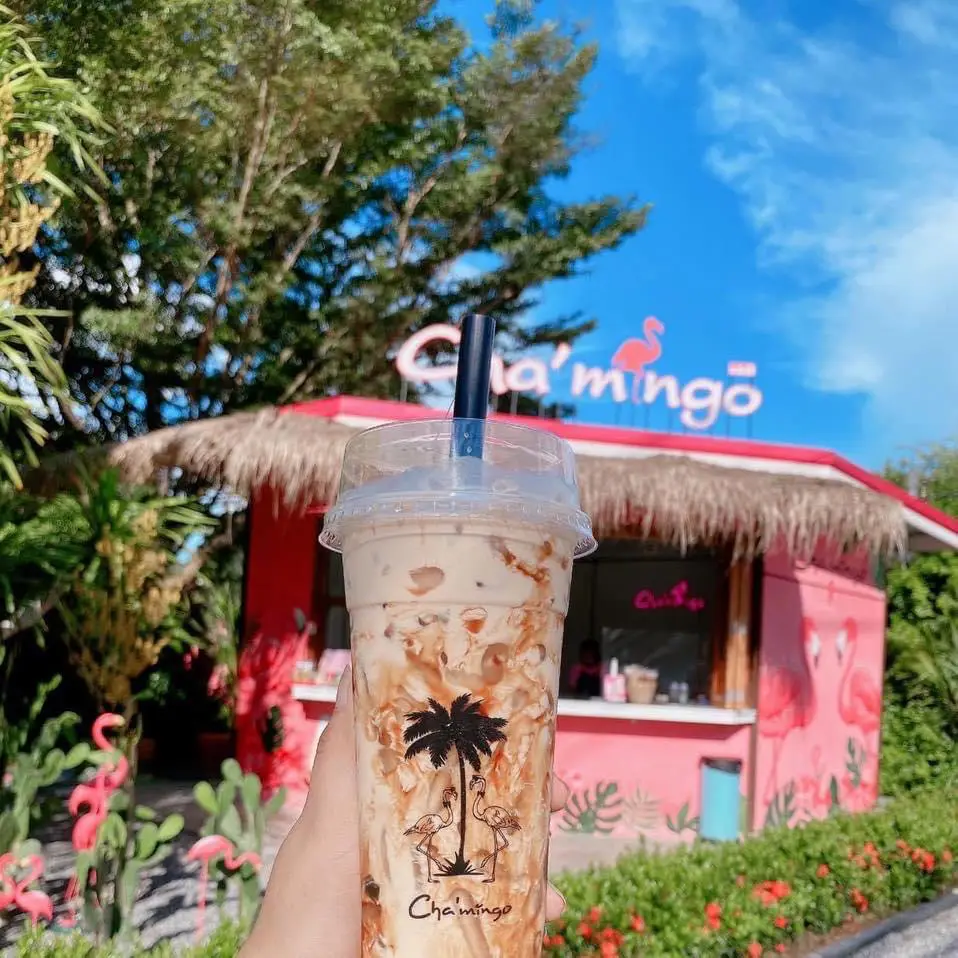 Cha mingo - ชามิงโก | แกลเลอรีที่โพสต์โดย ไปREVIEW | Lemon8