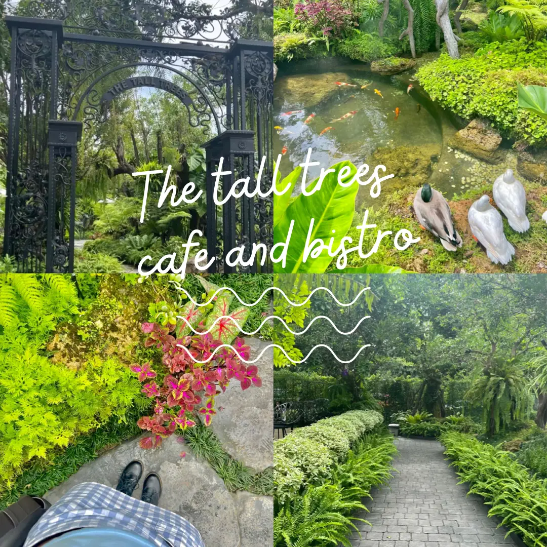 The tall trees cafe are bistro 🌳 คาเฟ่ย่านมีนบุรี | แกลเลอรีที่โพสต์โดย ...