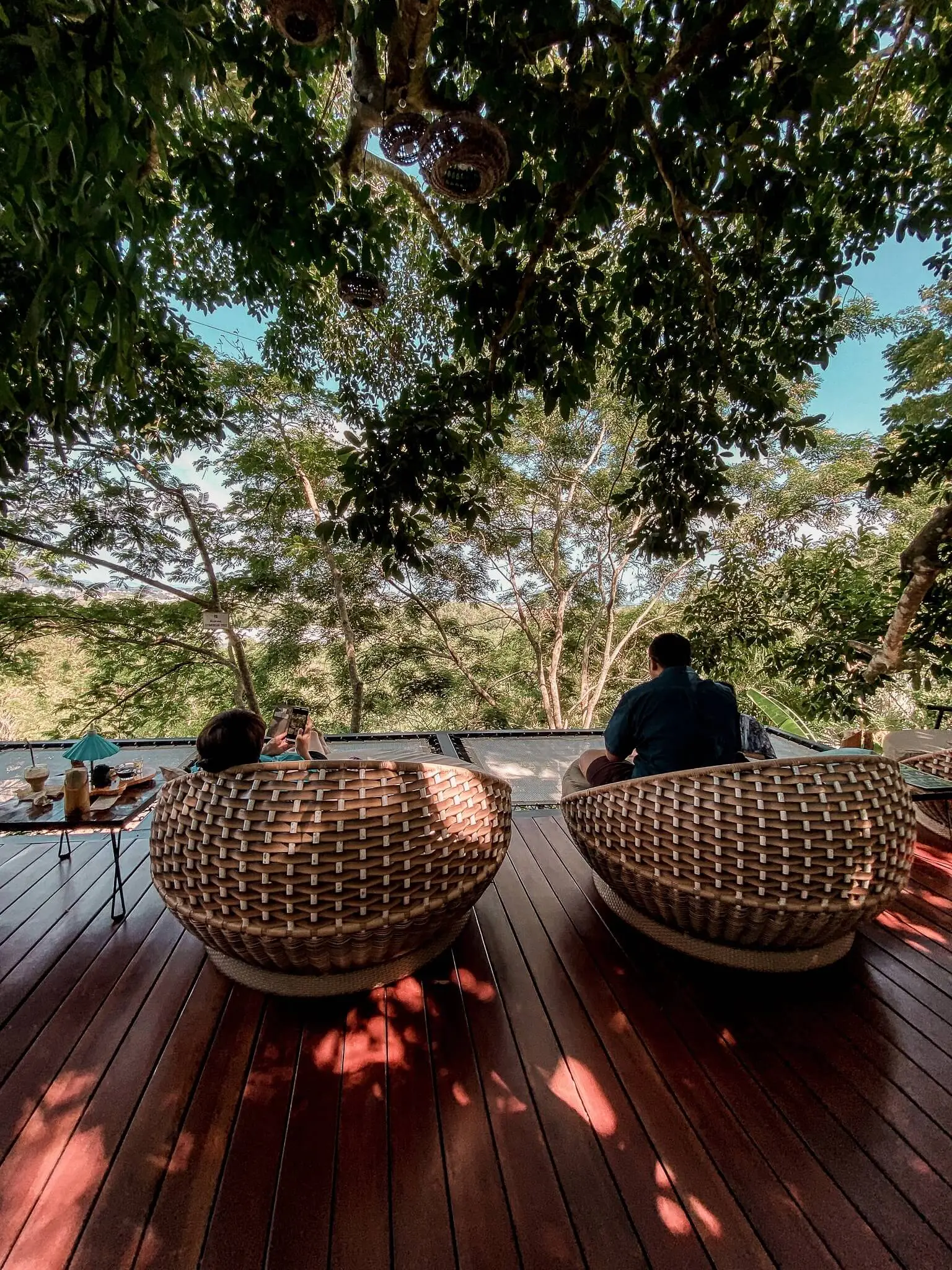 Tree Monkey @ Phuket | แกลเลอรีที่โพสต์โดย Jangjung☀️ | Lemon8