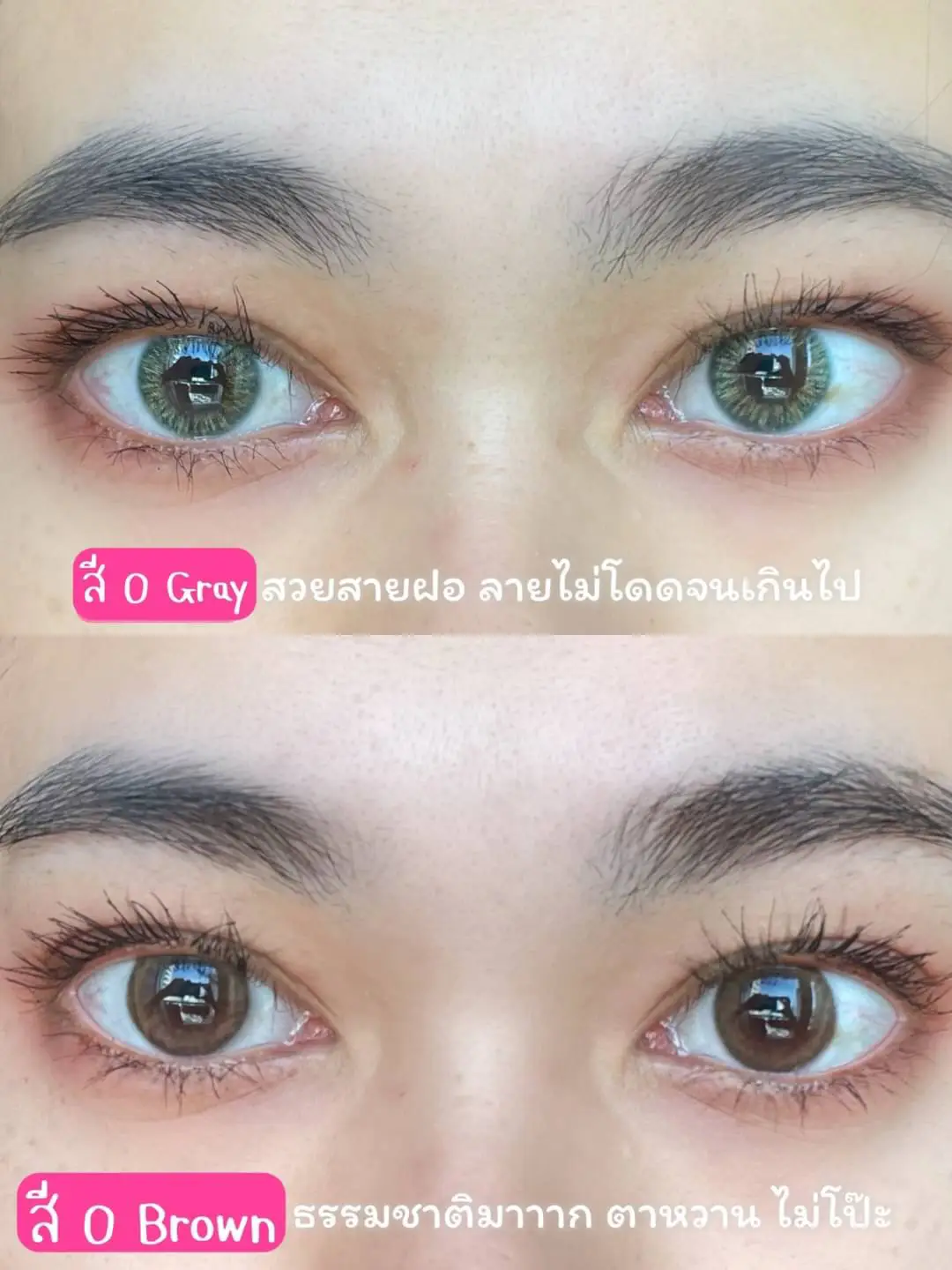 Contact Lens Maxim ตาสวยธรรมชาติ 💓 | แกลเลอรีที่โพสต์โดย opal658 | Lemon8