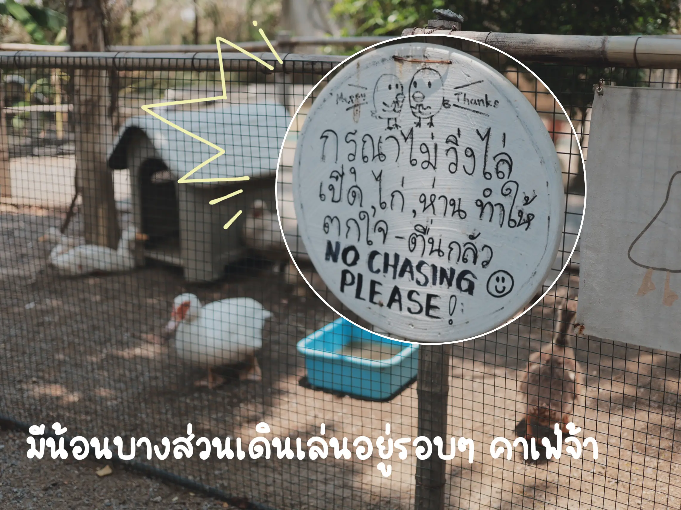 🫘หัวหินเป็นถิ่นมีถั่ว-คาเฟ่สายครอบครัวต้องลองมา🏠💕 | แกลเลอรีที่โพสต์โดย ...