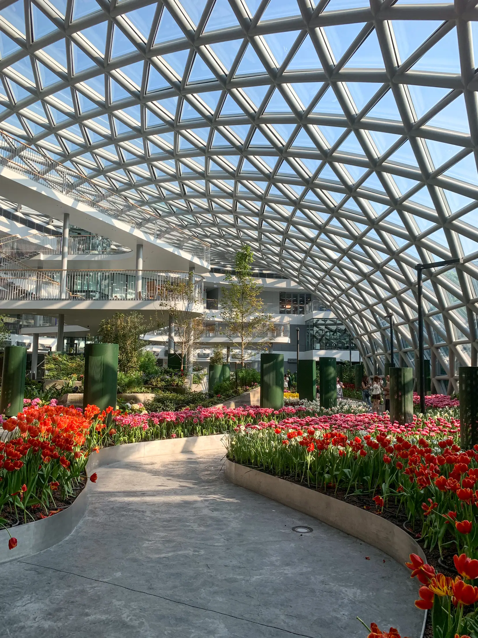 Miracle Of Natural | Rayong สวนดอกไม้เมืองหนาว 🌷 | แกลเลอรีที่โพสต์โดย ...