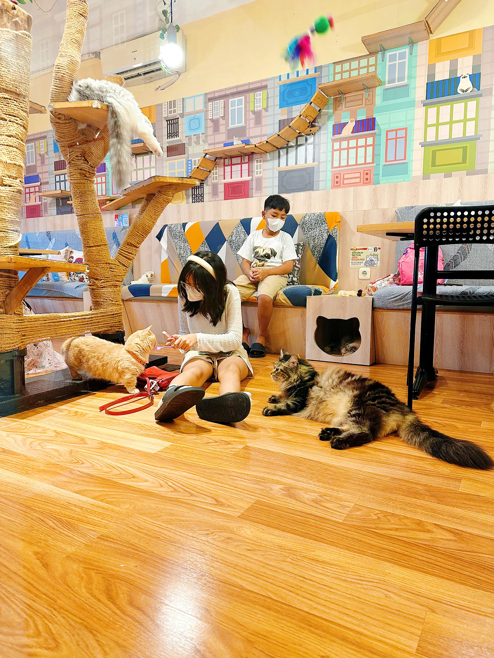 Kopi Cat Cafe by Groovy | Galeri diposting oleh Tirza Vivien | Lemon8