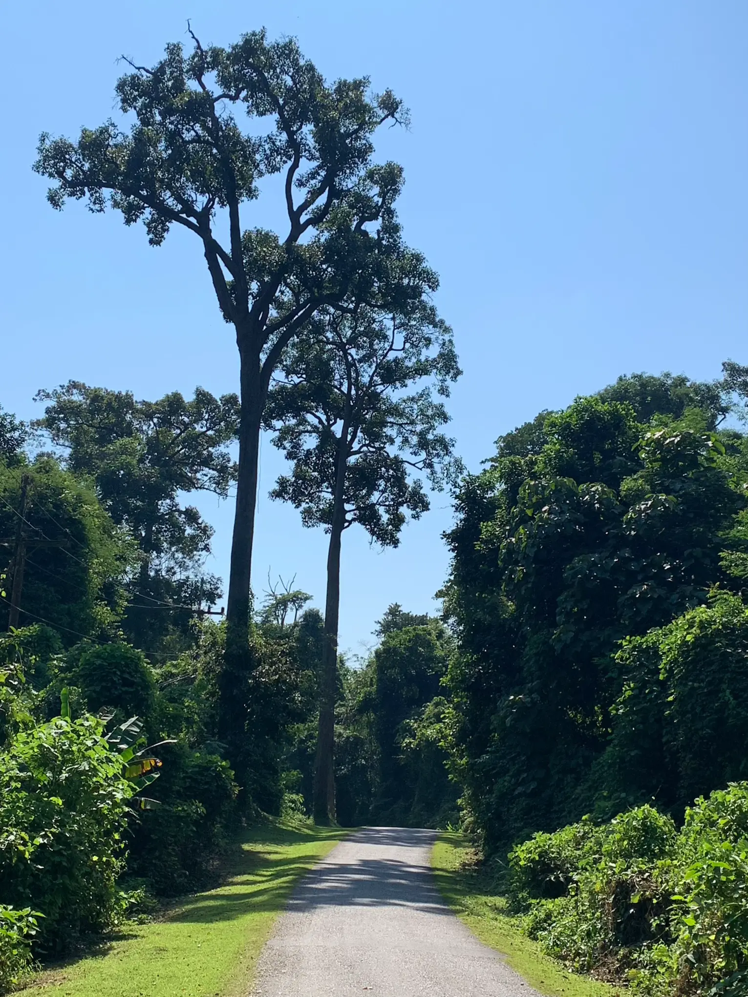 Conqueror of the Royal Peak(スコータイ) 🏕🛣 | Tipa_677が投稿したフォトブック | Lemon8