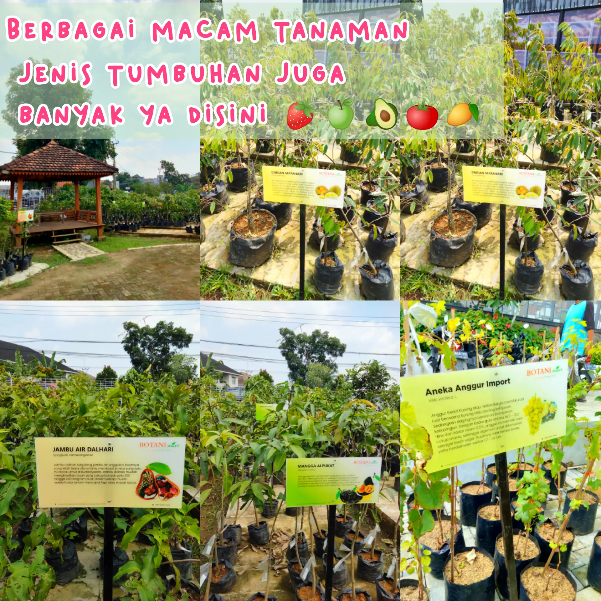 Ada Botani Mart Bergaya Milenial di Dramaga? | Galeri diposting oleh ...