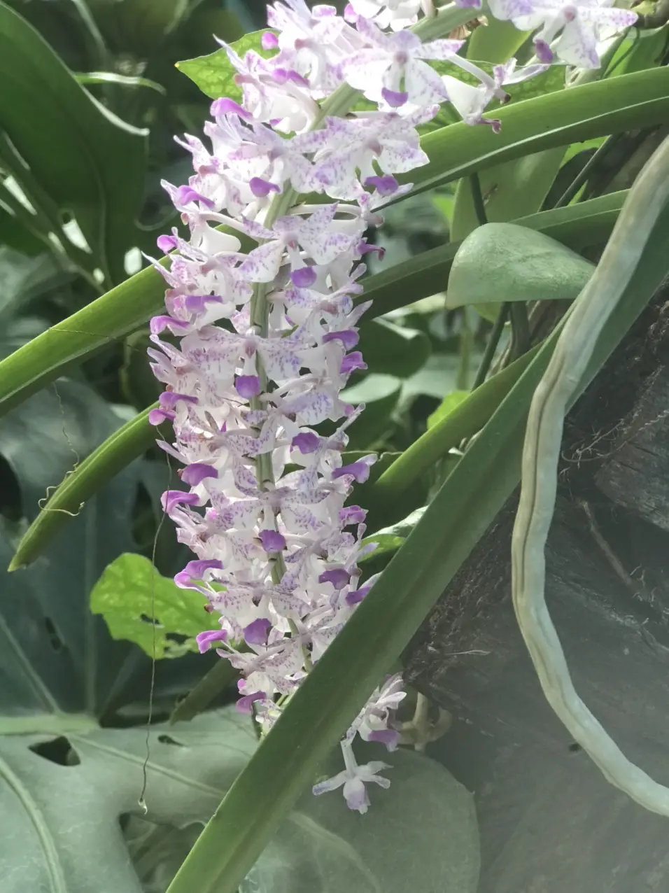 #ลืมสะ!!! ชอบประโยคๆนึงที่น้าเ | แกลเลอรีที่โพสต์โดย Yuuu 0813565845 | Lemon8