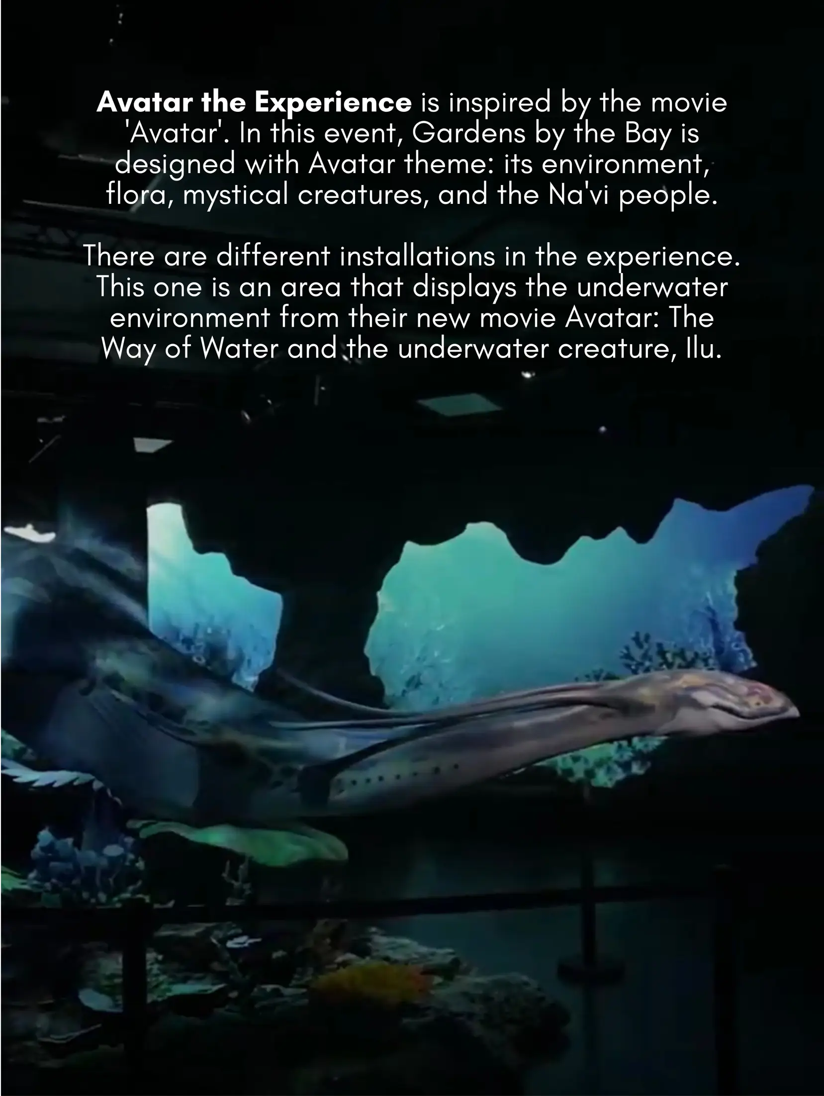 🛸🦕 PANDORA AVATAR di SINGAPORE 👽 | Galeri diposting oleh stellla 💫 | Lemon8