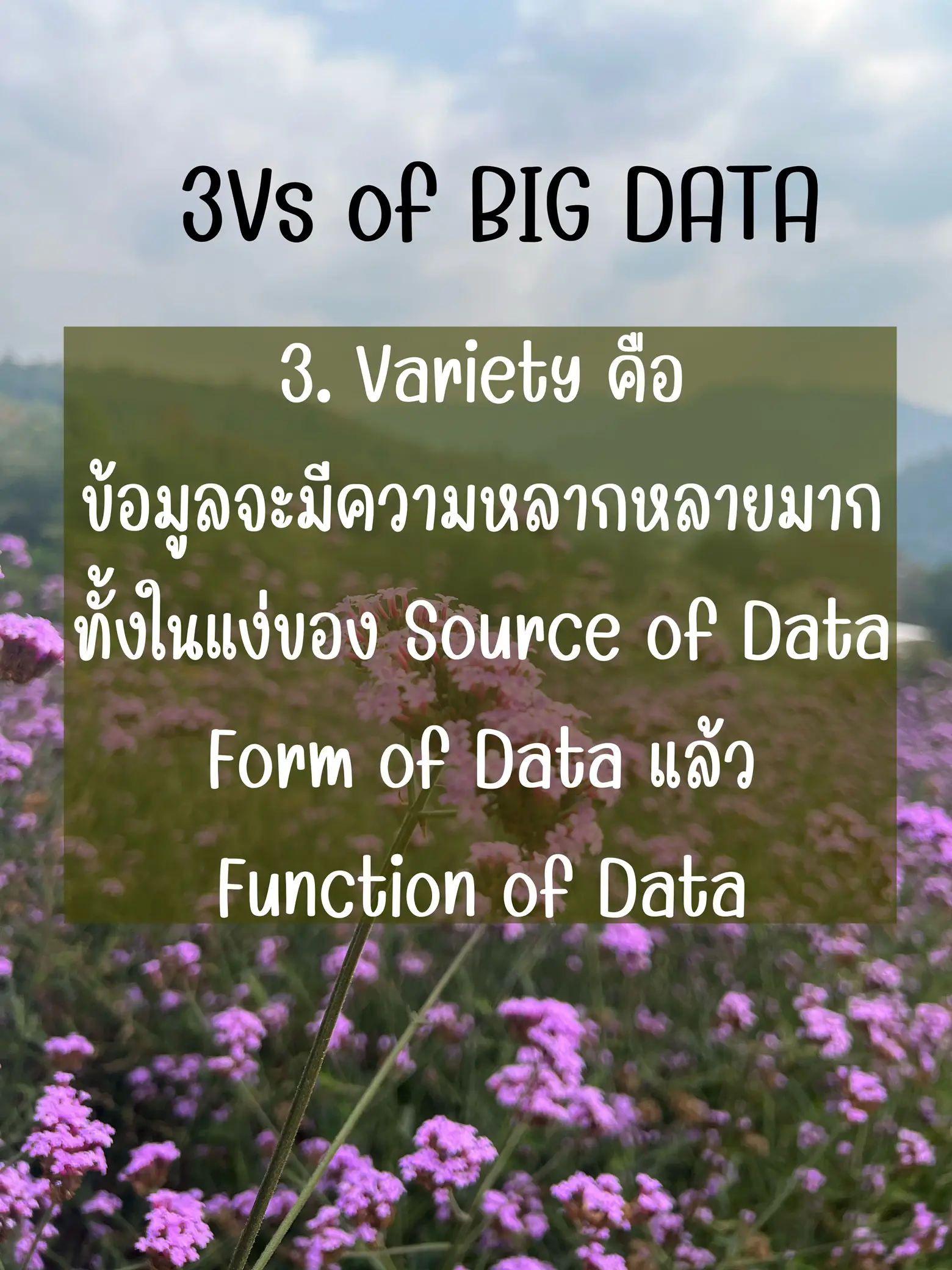 Big Data คืออะไร แล้วข้อมูลแบบไหนถึงเรียกว่า Big Data ? | แกลเลอรีที่ ...