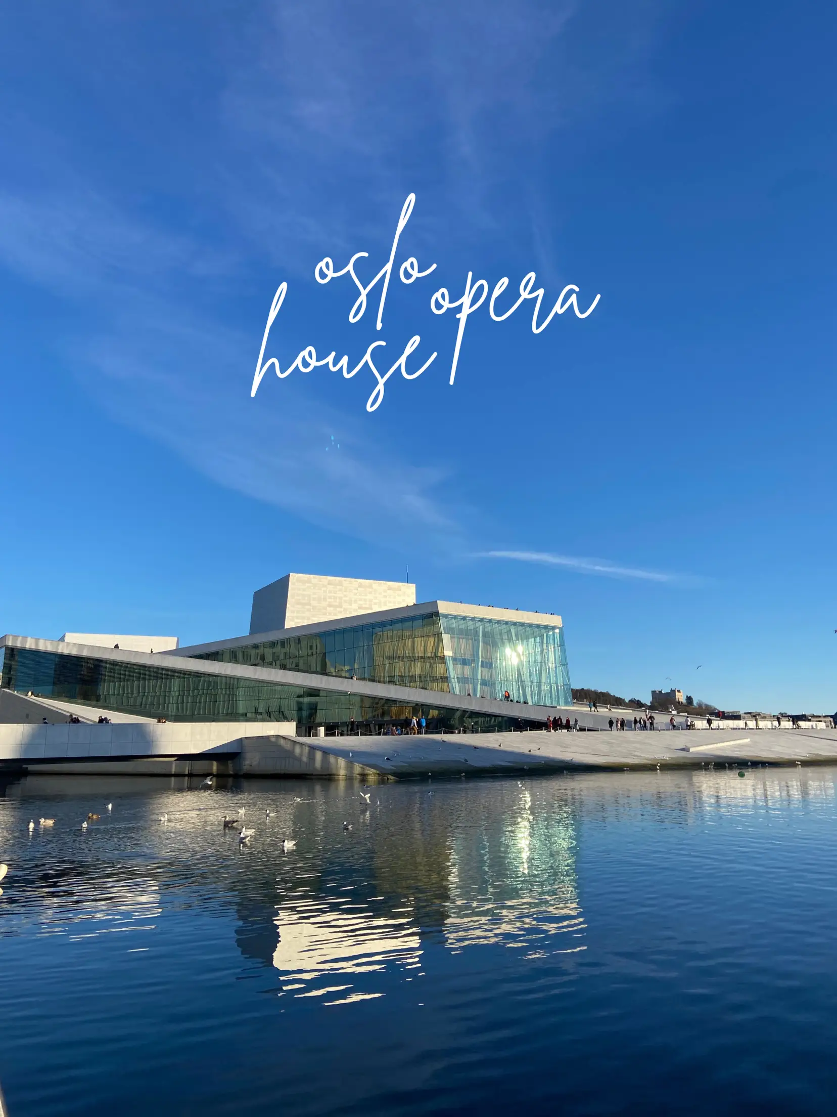 this is your sign to visit oslo, norway ‼️🇳🇴😳 | แกลเลอรีที่โพสต์โดย ...