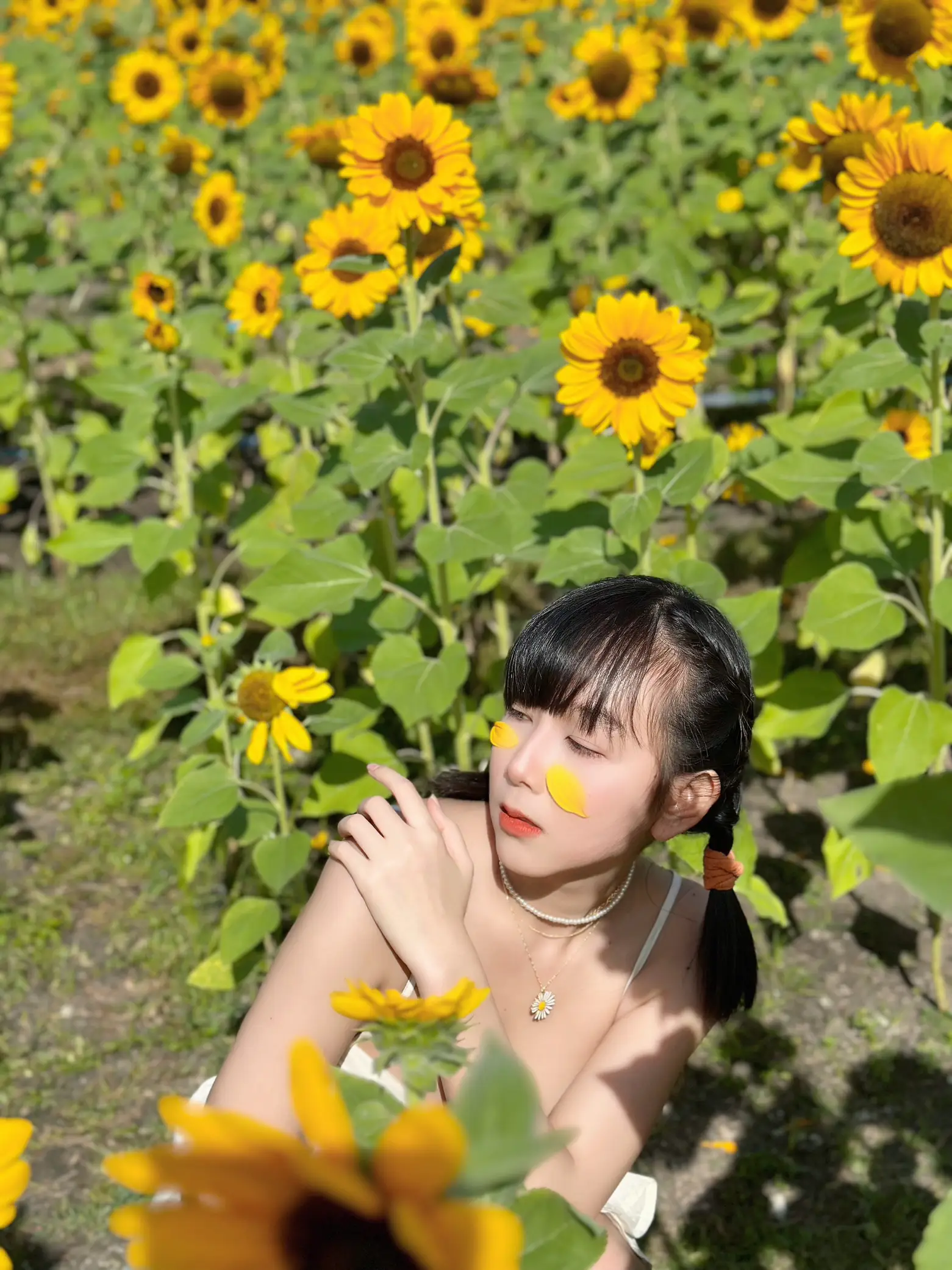 📸ถ่ายรูปกับดอกทานตะวัน🌻🌞 | แกลเลอรีที่โพสต์โดย Usagi🐇 | Lemon8