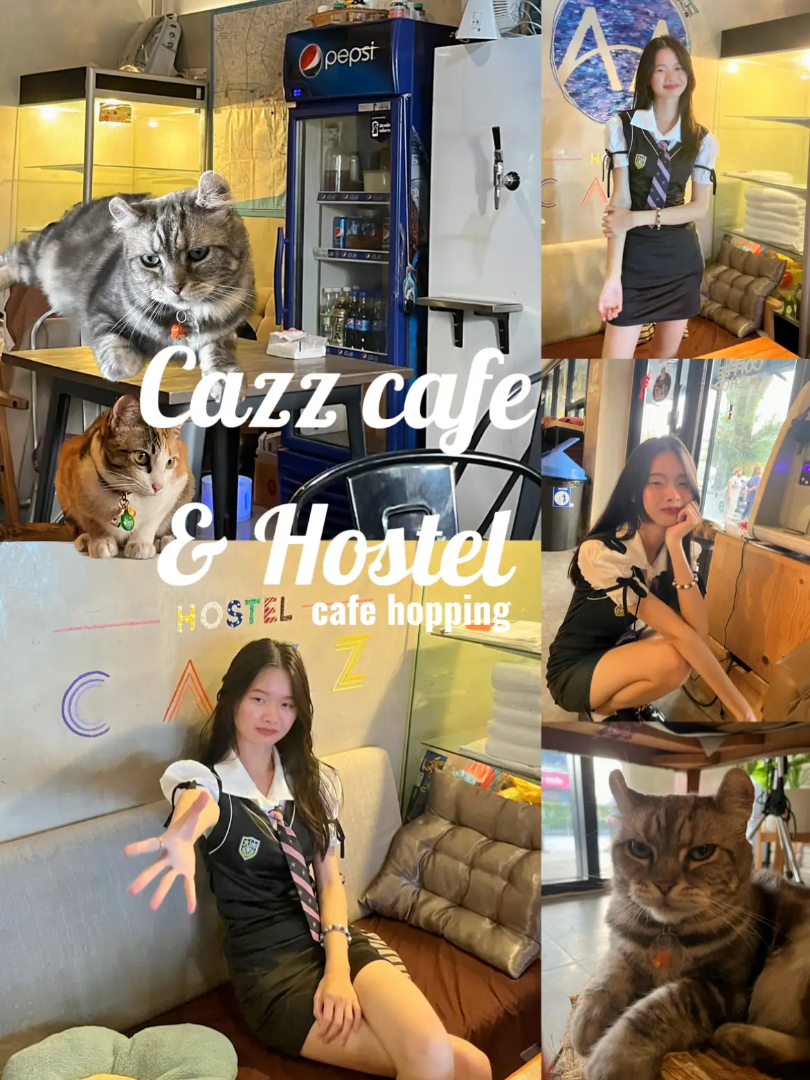 รีวิวคาเฟ่แมว cazz cafe & hostel ย่านพระโขนง | แกลเลอรีที่โพสต์โดย lilyasp.p | Lemon8