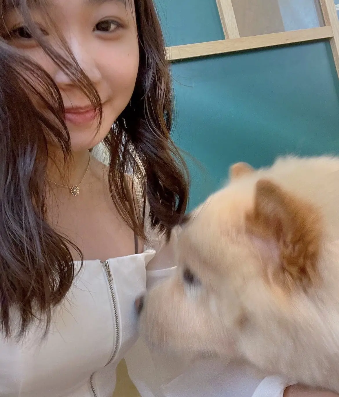 No more gate-keeping the most underrated dog cafe | Gallery posted by Momoyumee🍑 | Lemon8