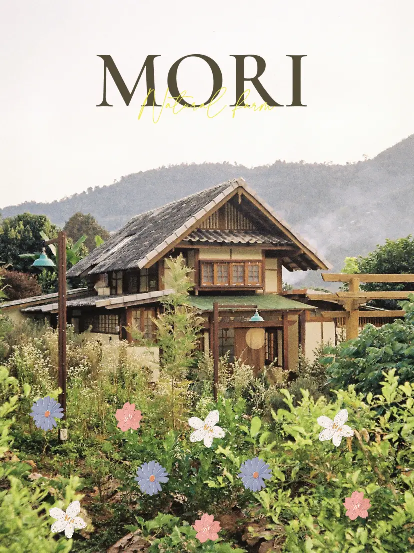 เชียงใหม่เที่ยวได้ทุกเดือน Mori natural farm 🍃 | แกลเลอรีที่โพสต์โดย TAMPAIGON | Lemon8